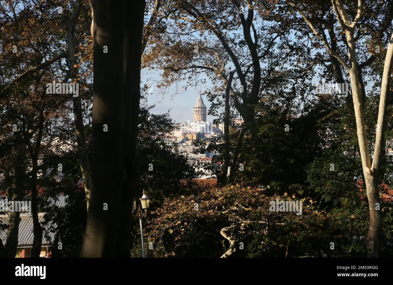 Galata Tower from Gulhane Park in Istanbul, Turkey Stock Photo - Alamy