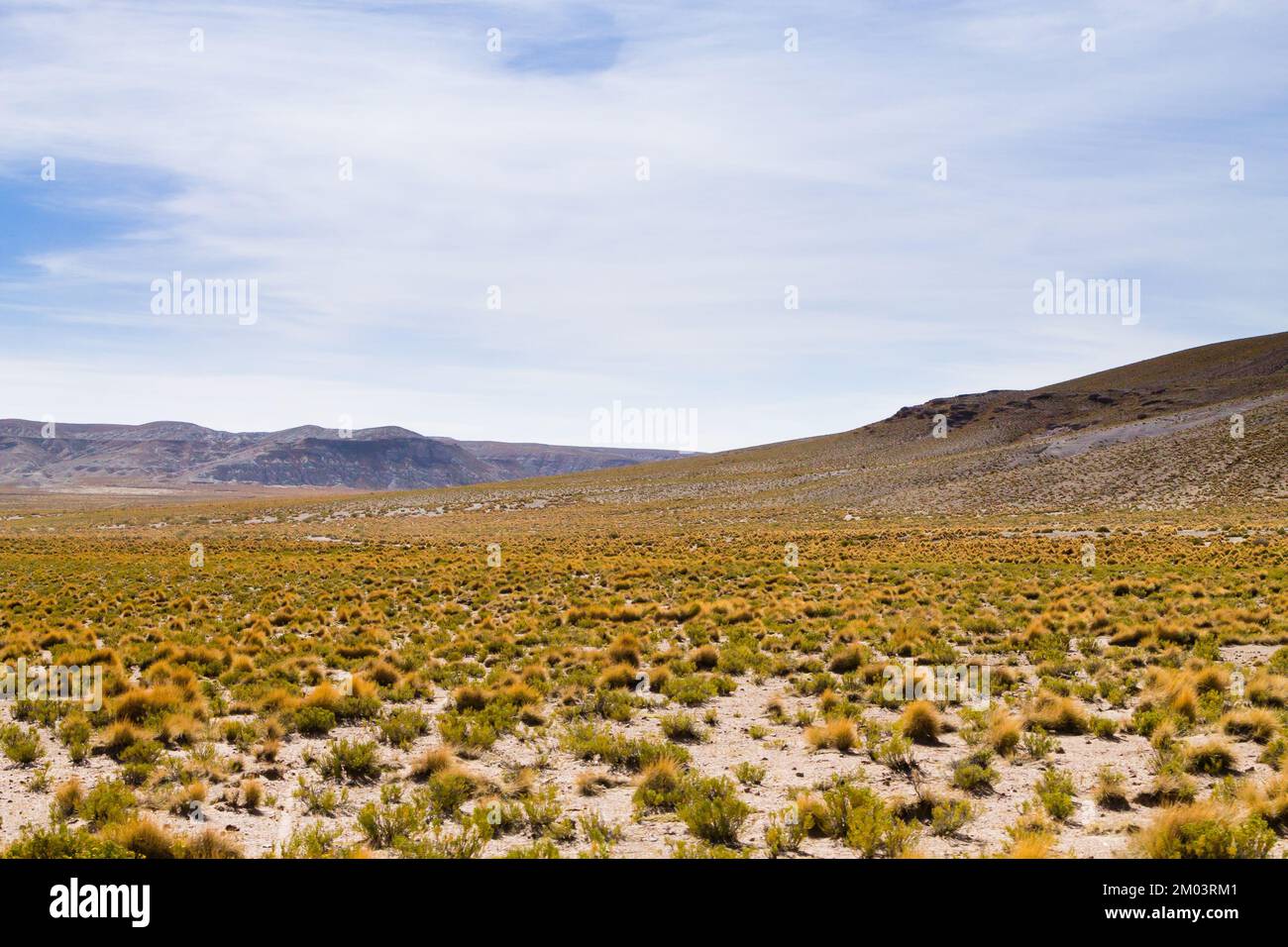 Bolivian mountains landscape,Bolivia.Andean plateau view Stock Photo ...