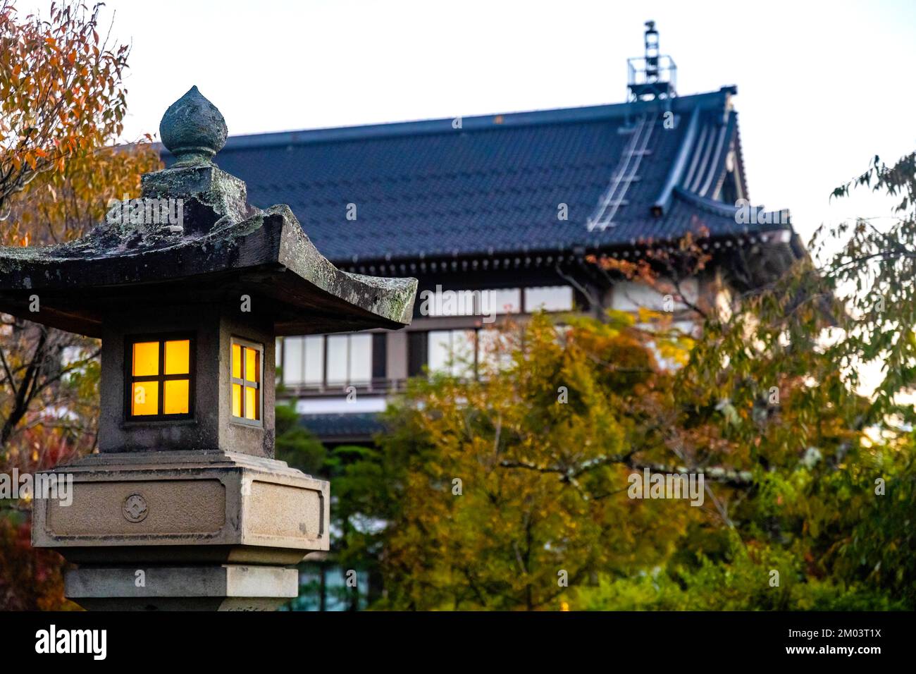 Japanese toro hi-res stock photography and images - Alamy
