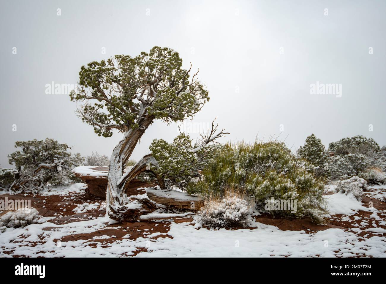 Snow green screen hi-res stock photography and images - Alamy