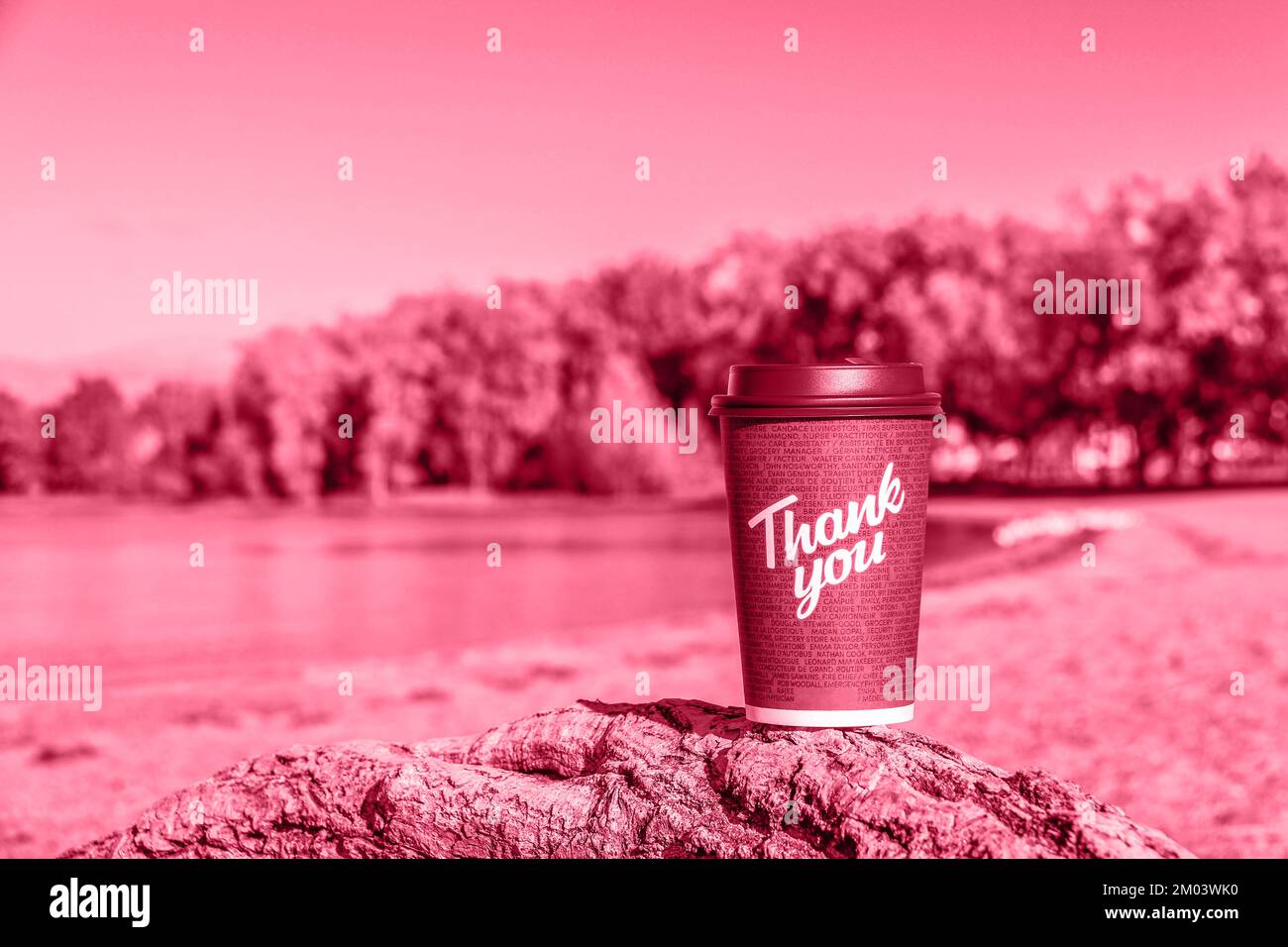 Color of year 2023 Viva Magenta. Image with coffee cup with Thank you ...