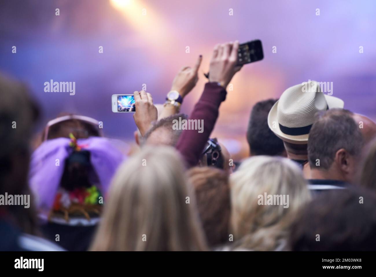 Capturing the experience. Rearview shot of a crowd at a music festival ...