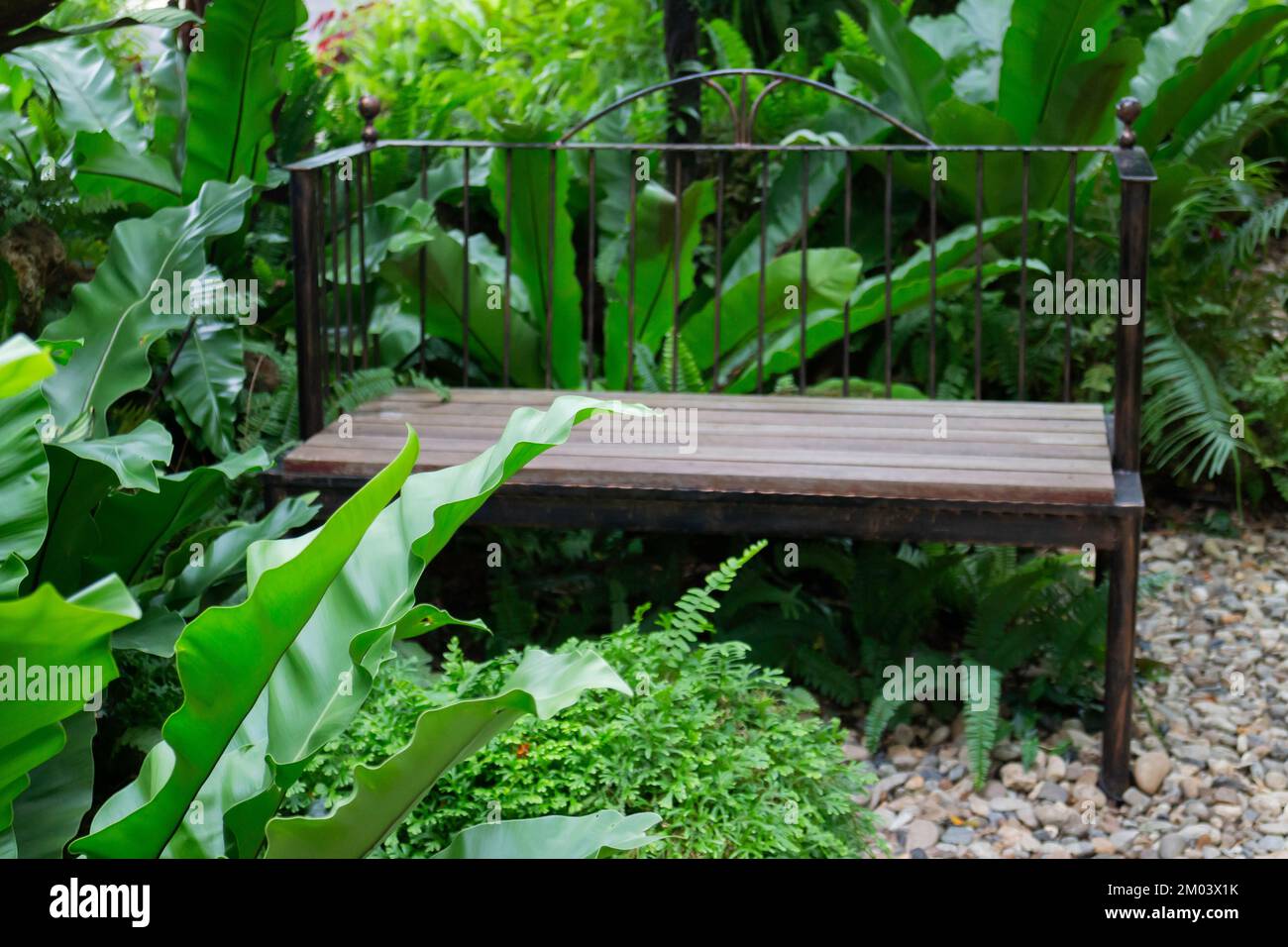 Modern exterior of coffee shop, stock photo Stock Photo - Alamy