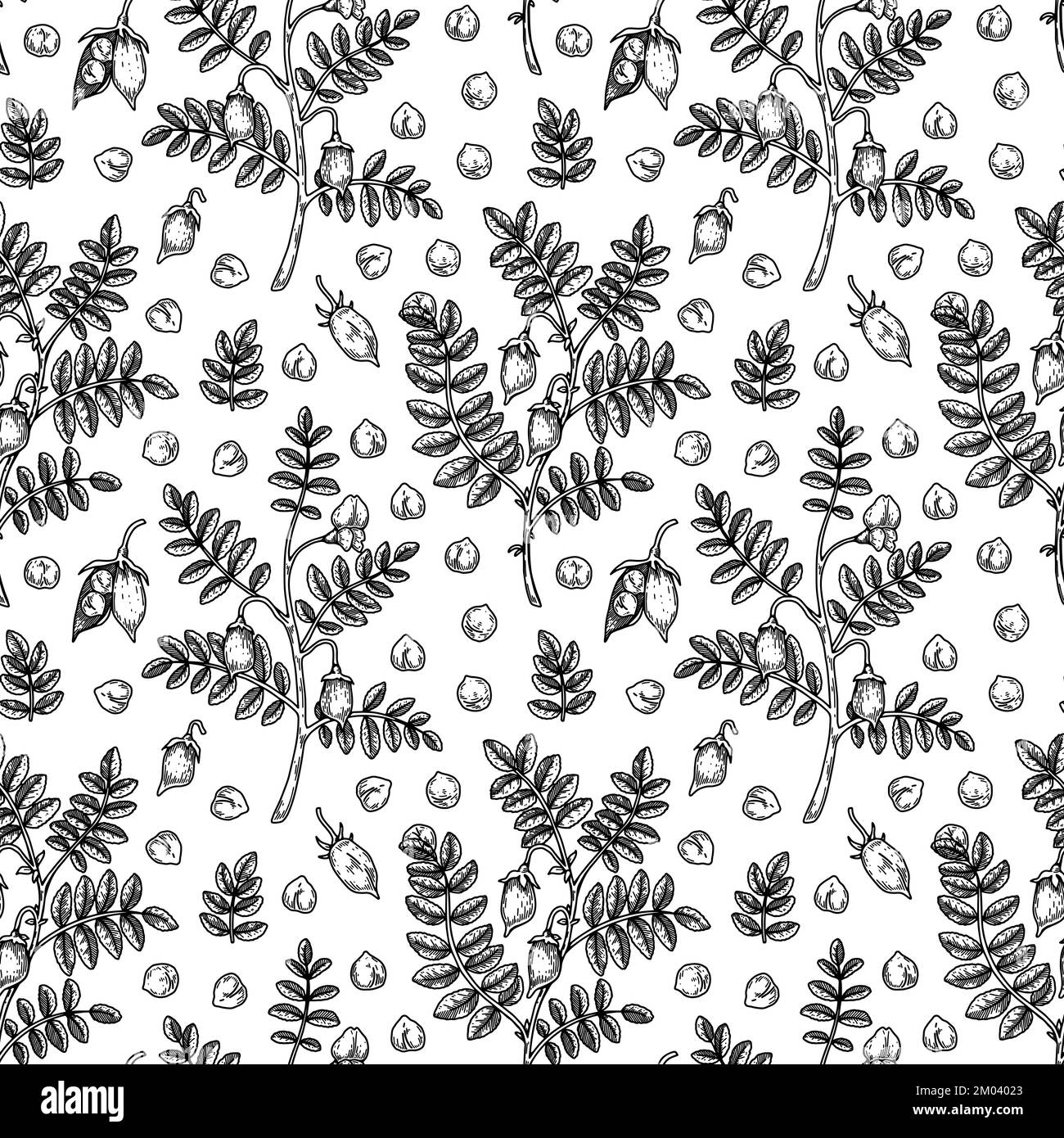 Hand drawn chickpeas seamless pattern. Vector illustration in sketch ...