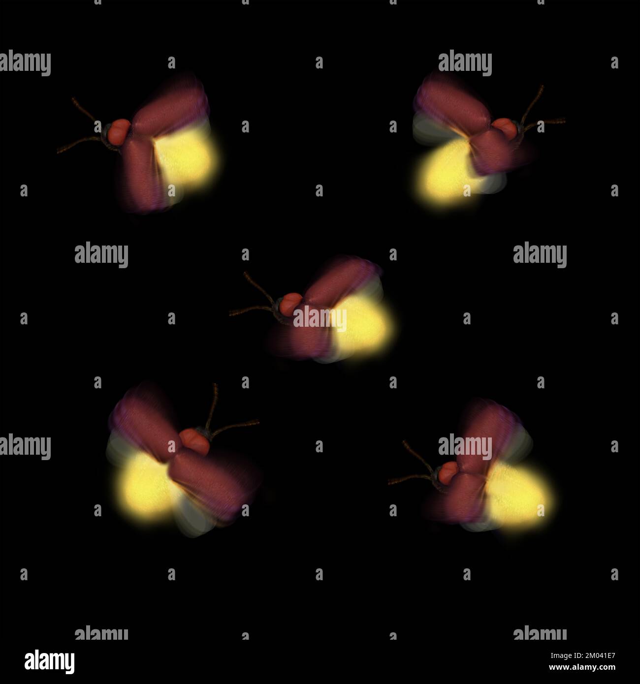 firefly, glowworm, lightning bug illustration Stock Photo - Alamy