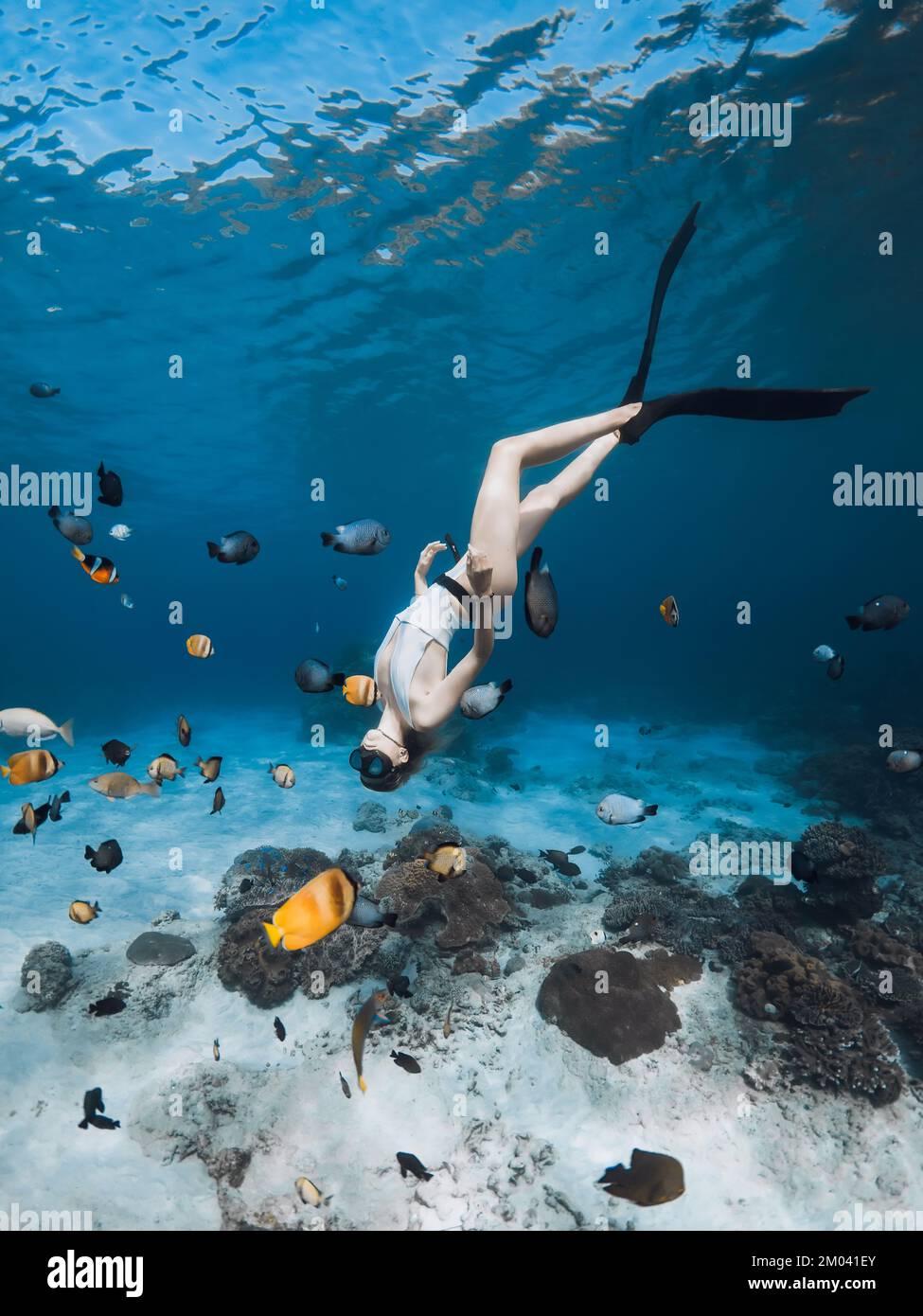 Beautiful free diver lady with fins glides underwater with tropical ...