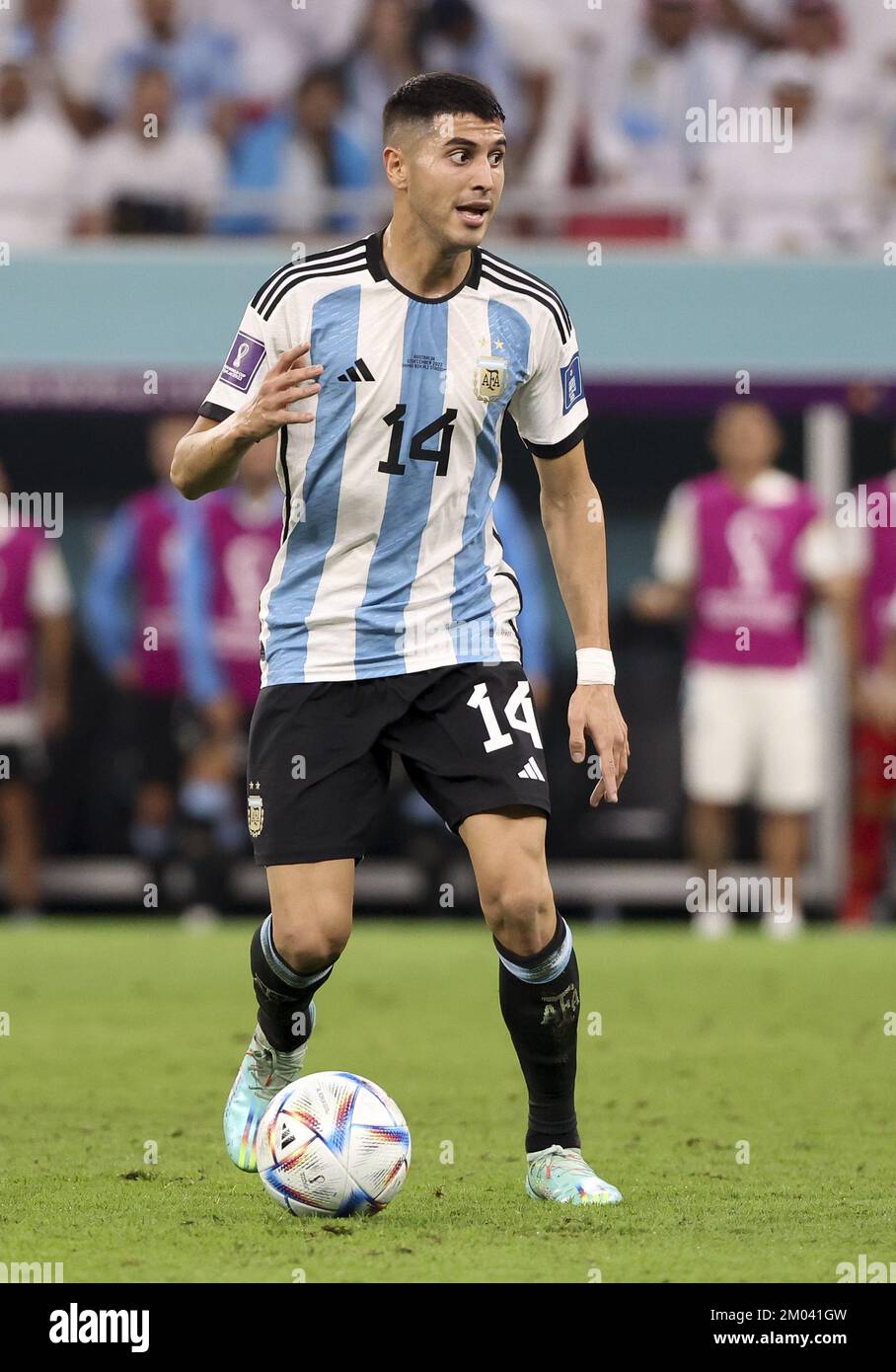 Exequiel Palacios of Argentina during the FIFA World Cup 2022, Round of ...