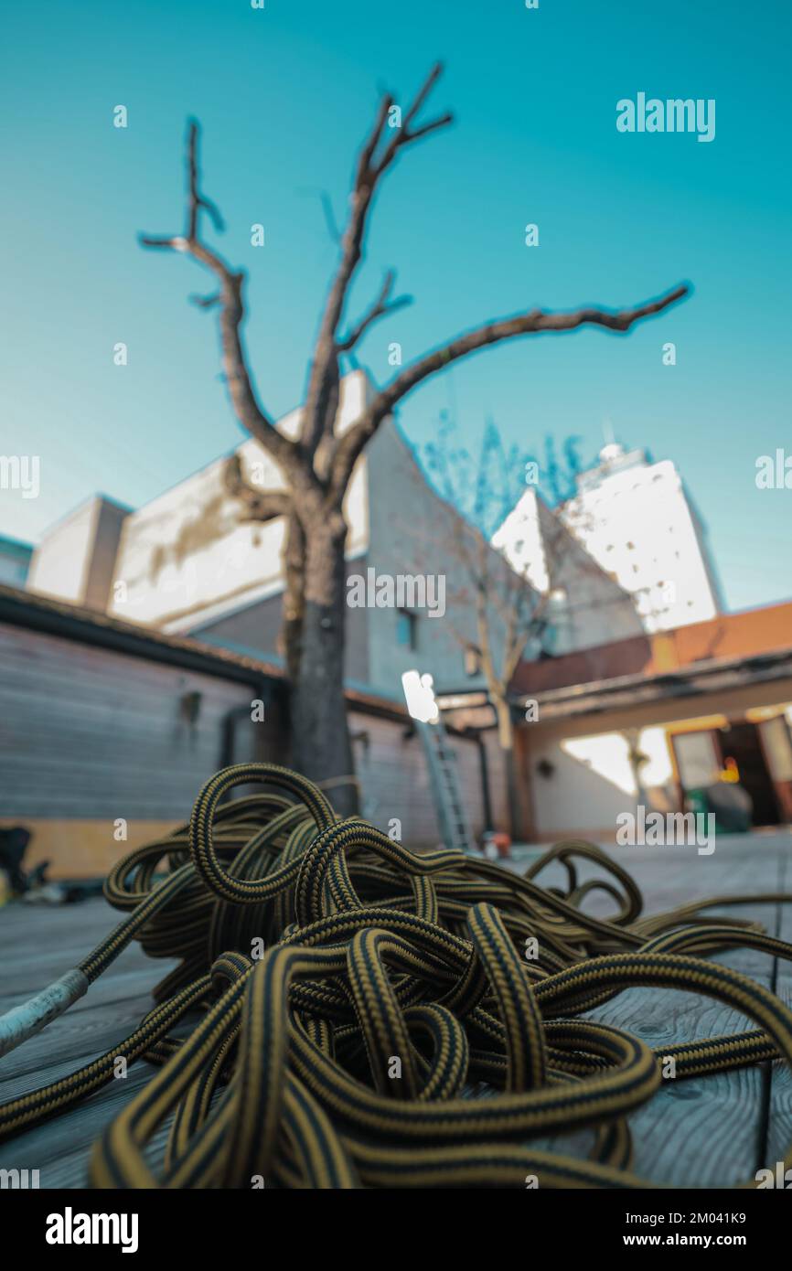 A pile of rope used by arborist to take down tree branches and trunks ...