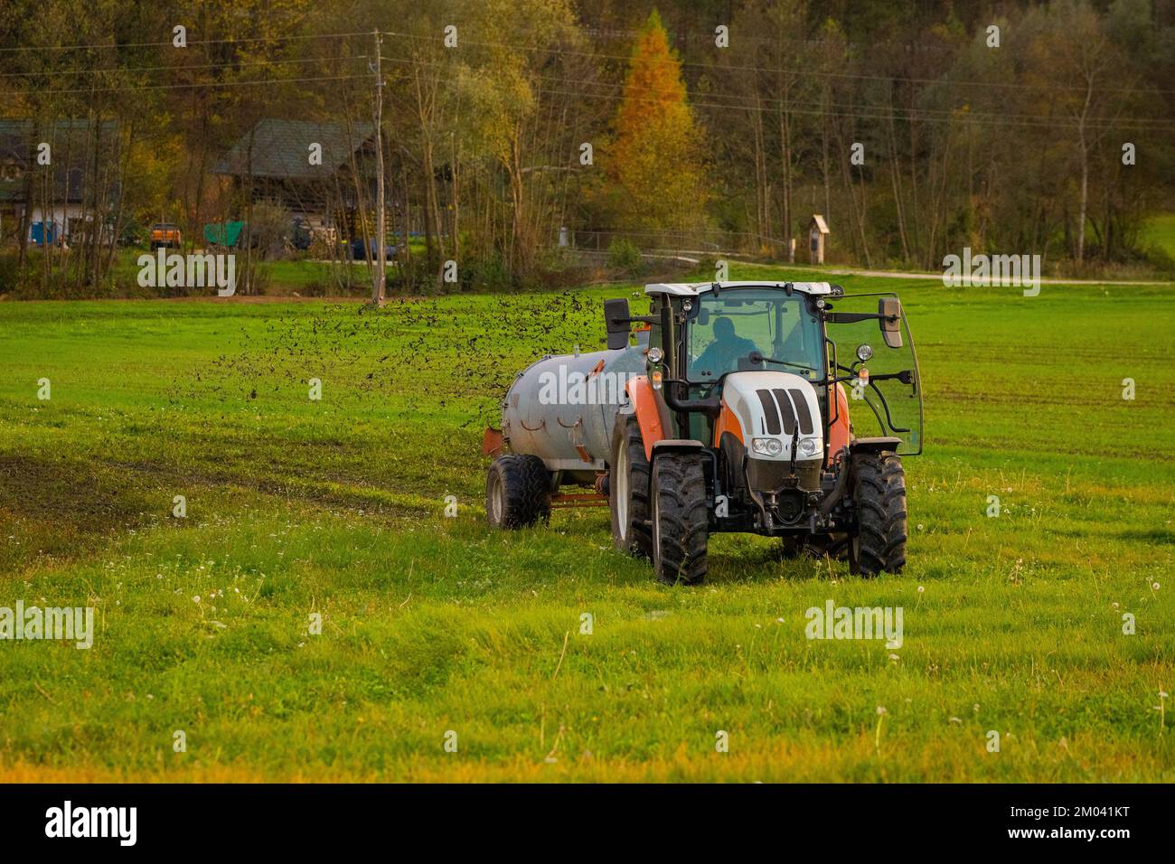 Modern tractor spreading manure on a green field before the rain ...