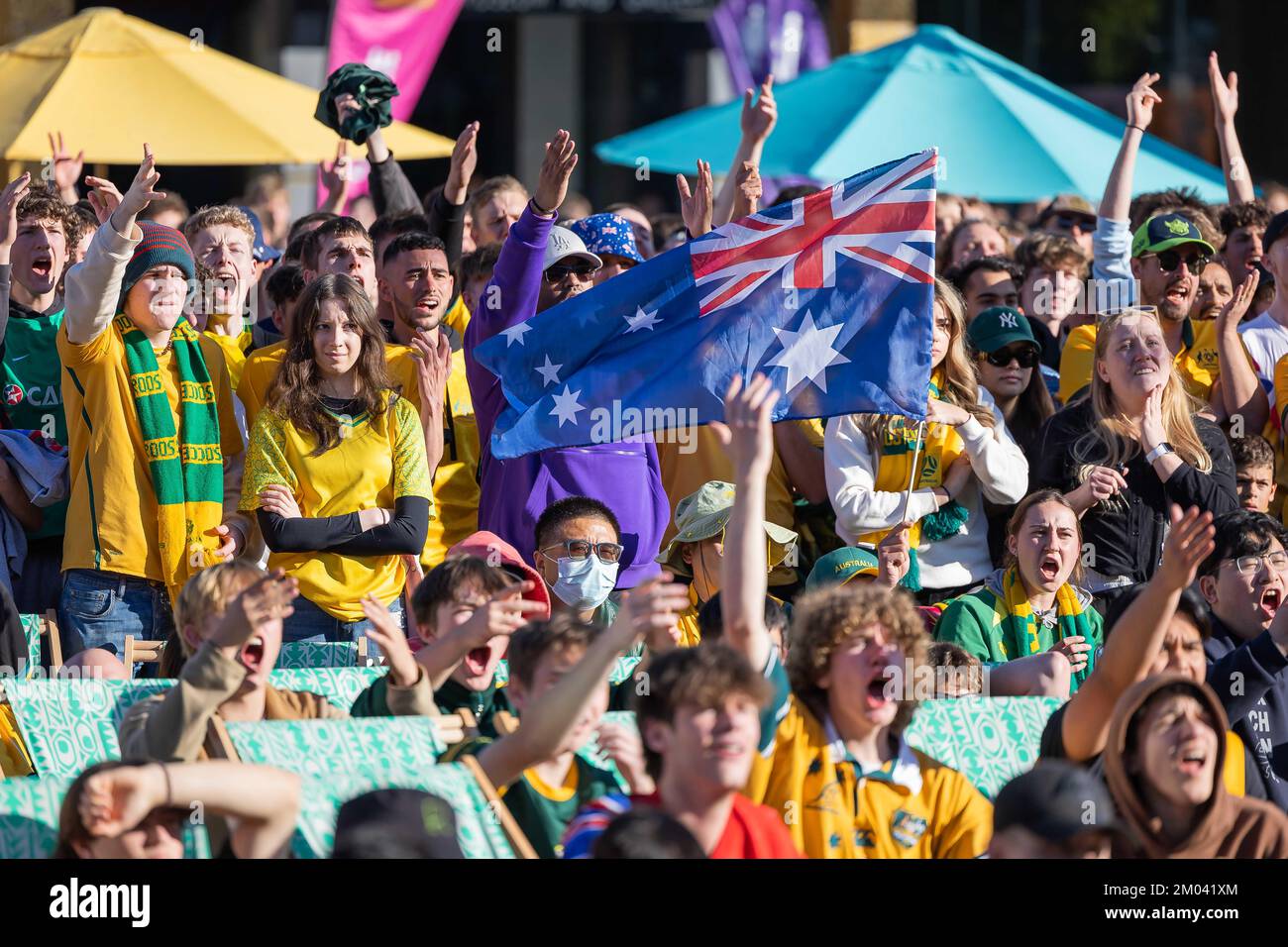 Canberra, Australia. 4th Dec, 2022. Australian fans watch 2022 FIFA ...