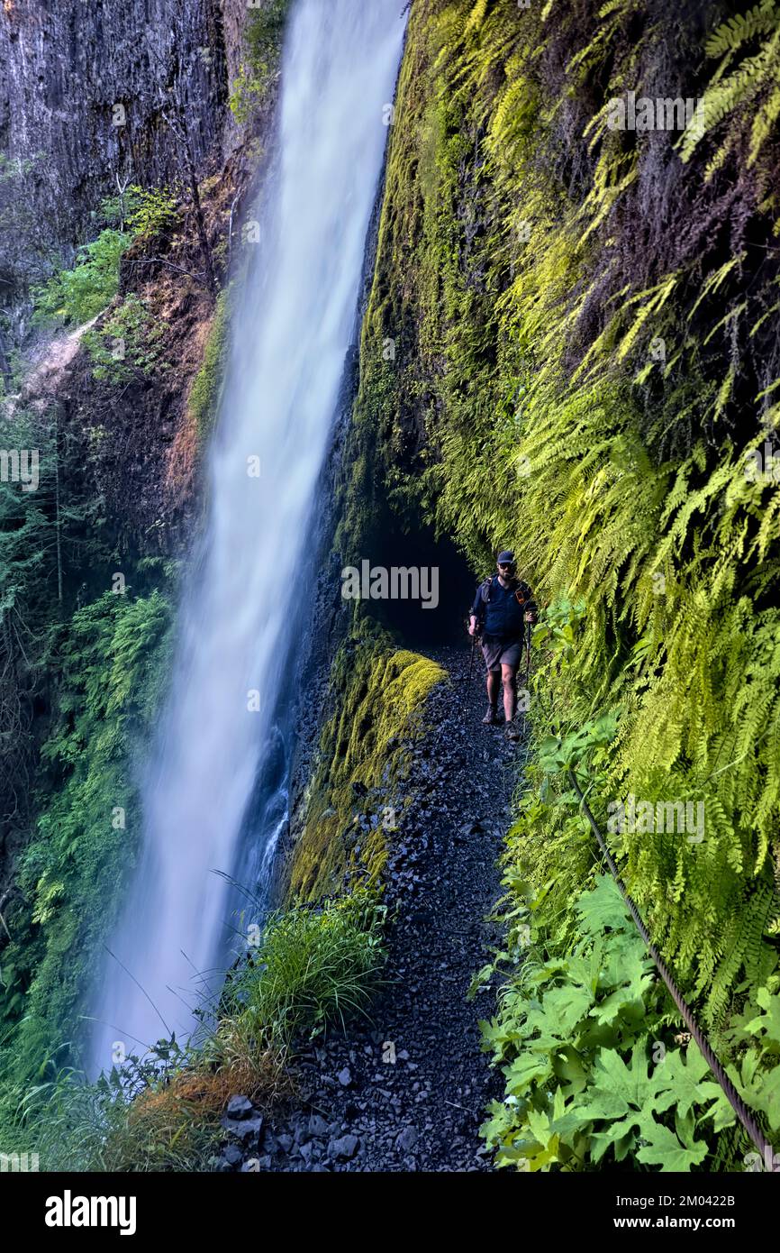 Approaching spectacular Tunnel Falls, Pacific Crest Trail, Oregon, USA ...