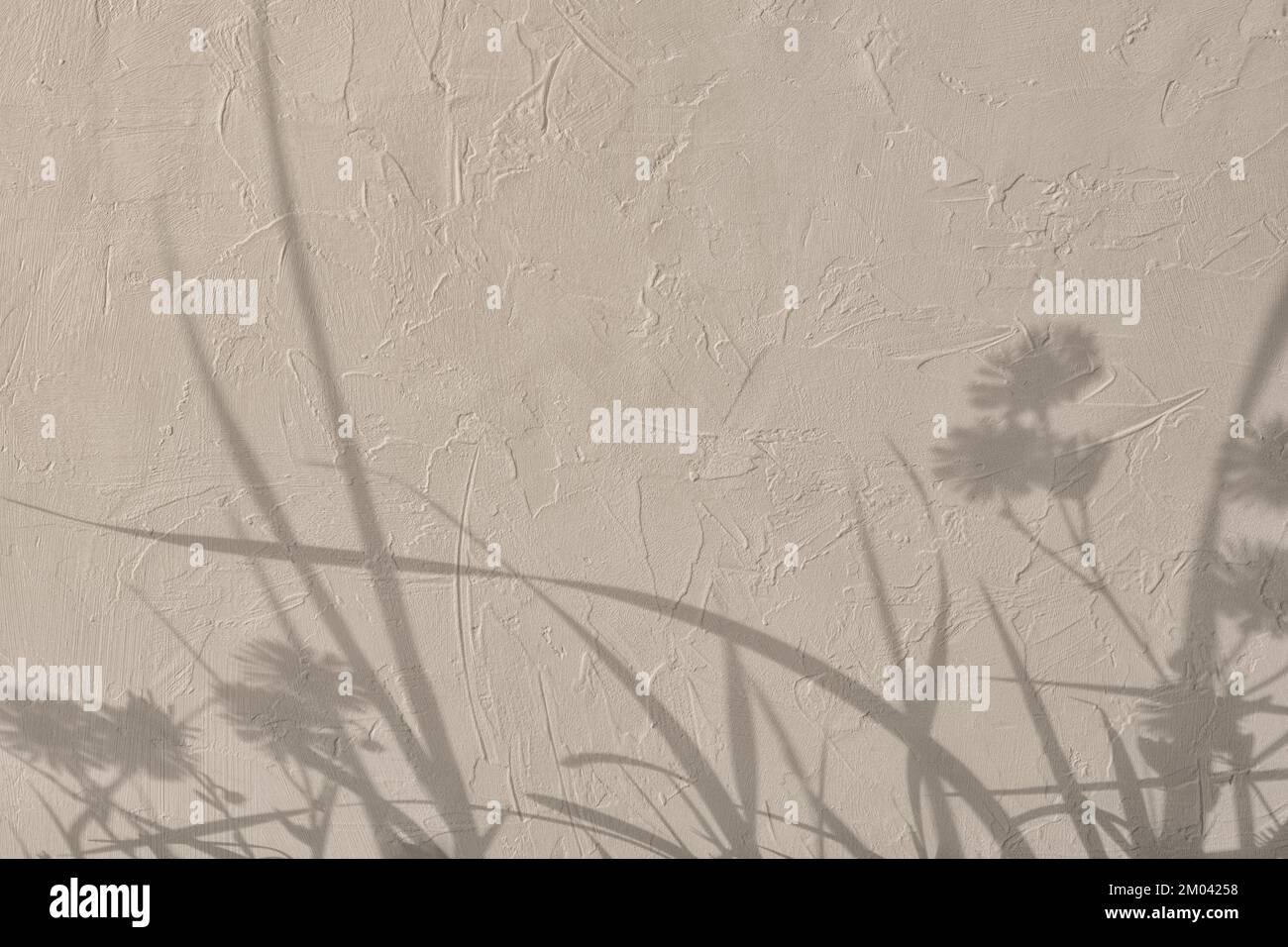 Shadow of leaves on beige concrete wall texture background Stock Photo - Alamy