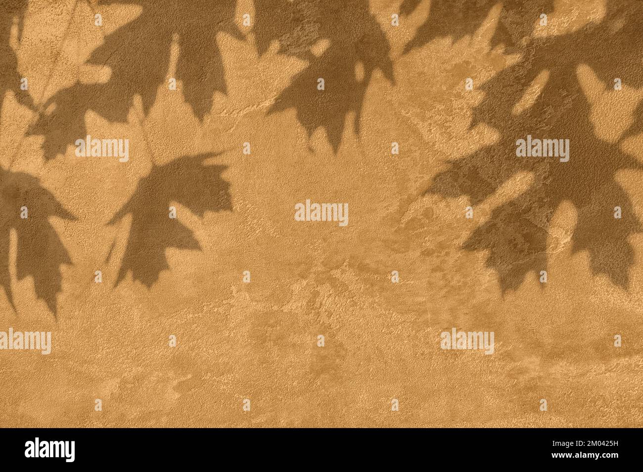 Shadow of leaves on beige concrete wall texture background Stock Photo - Alamy