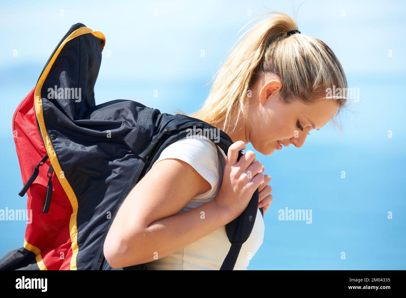 Skydiving Parachute Pack