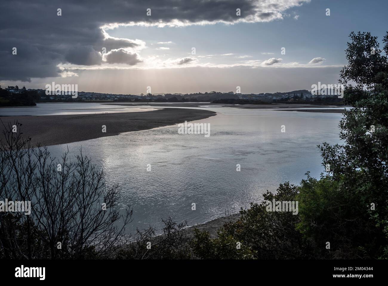 Evening light on Orewa estuary, Auckland, North Island, New Zealand ...