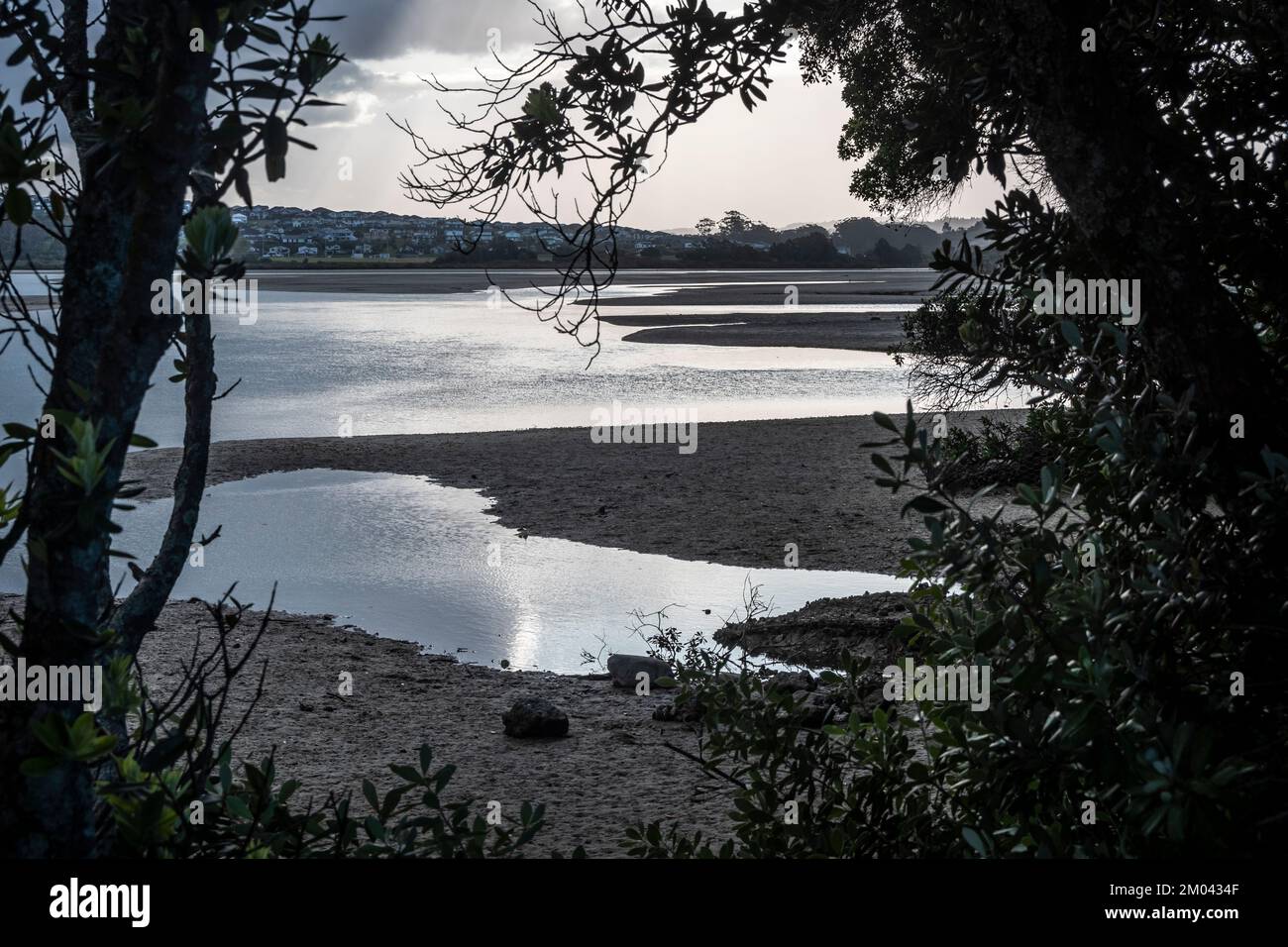 Orewa river hi-res stock photography and images - Alamy