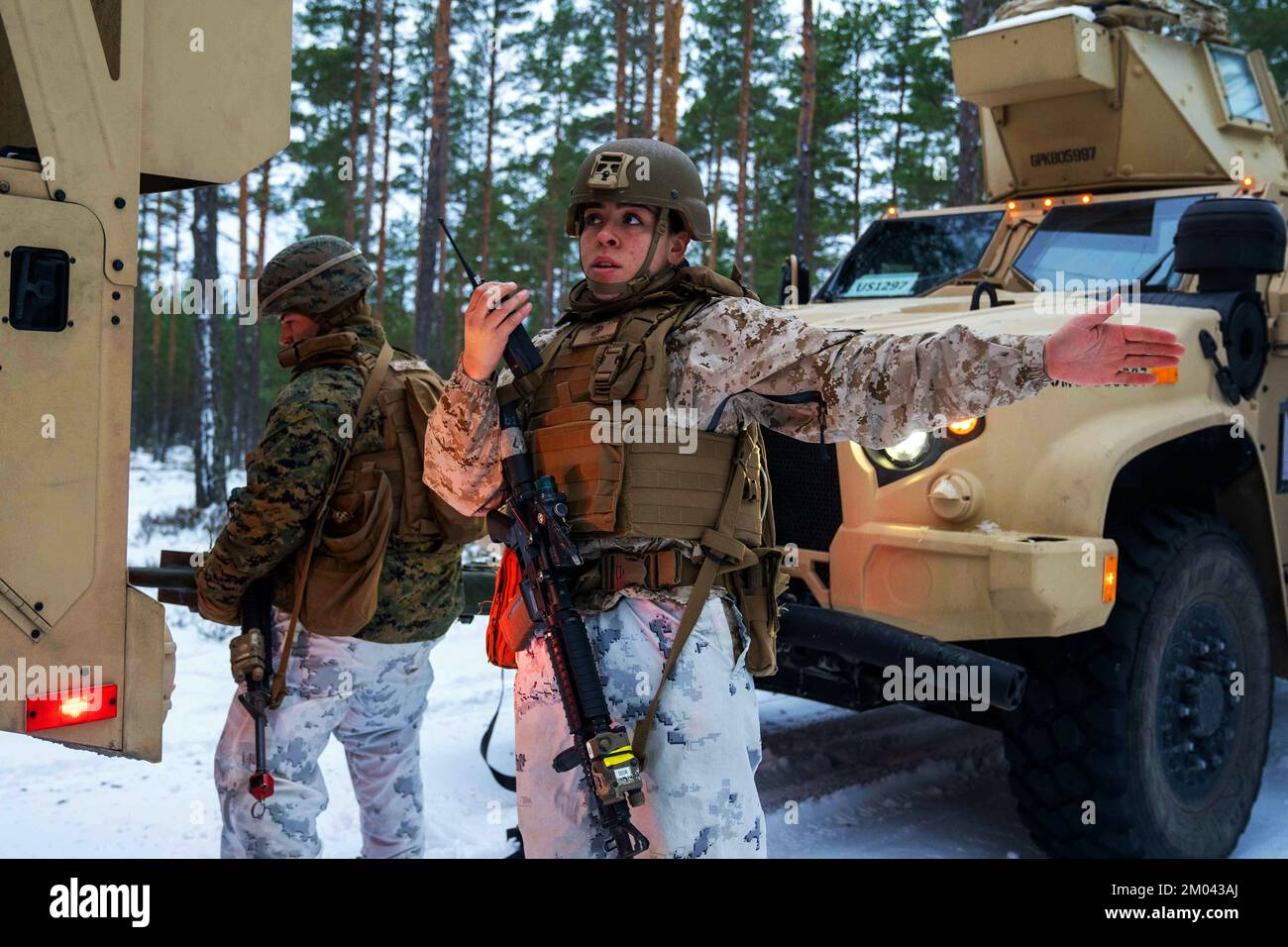 Syndalen, Finland. 22nd Nov, 2022. U.S. Marine Corps Sgt. Andrea Blaine ...