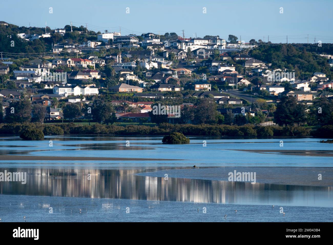 Houses on hillside above Orewa estuary, Auckland, North Island, New ...