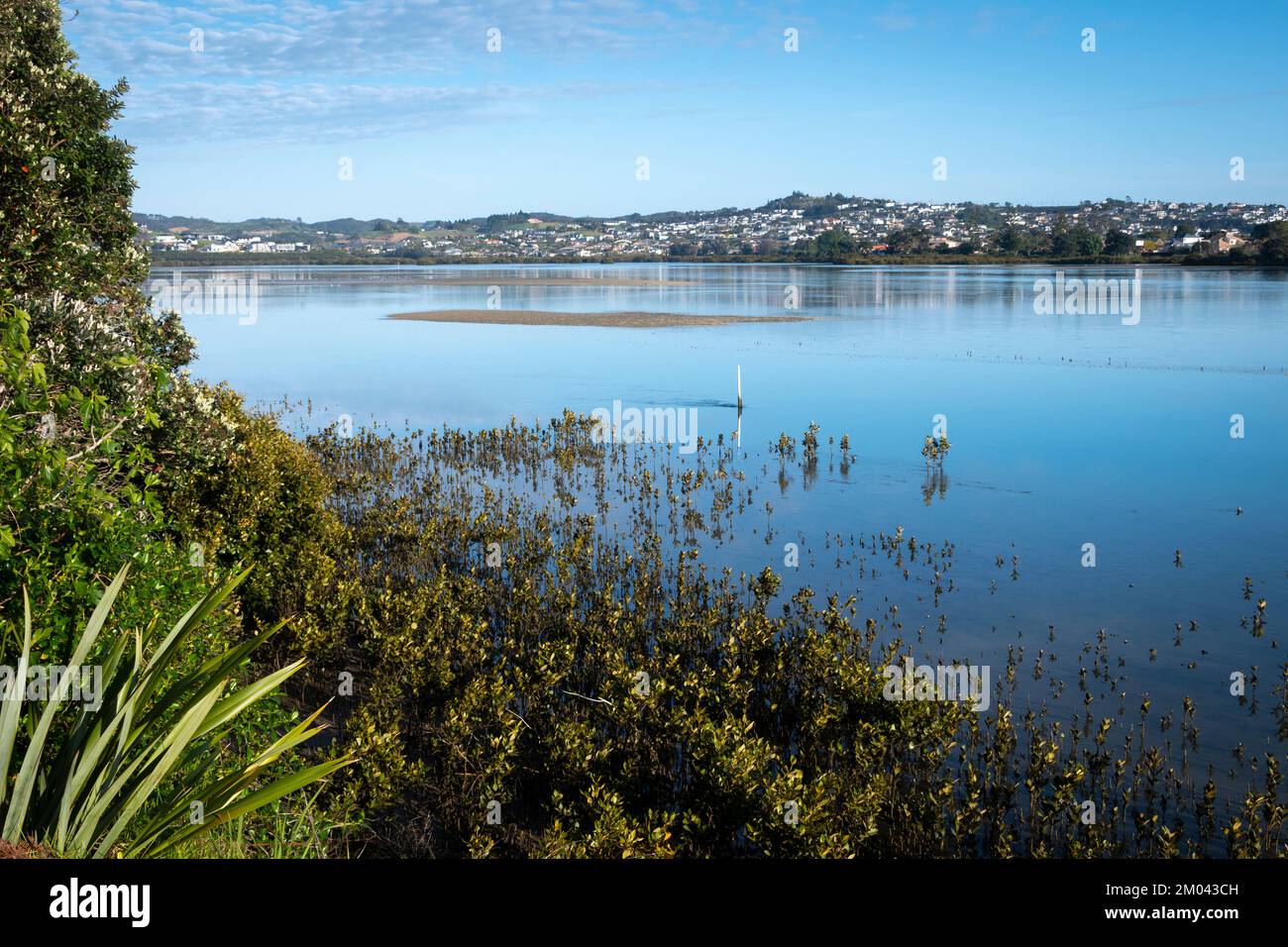 Orewa Estuary, Auckland, North Island, New Zealand Stock Photo - Alamy