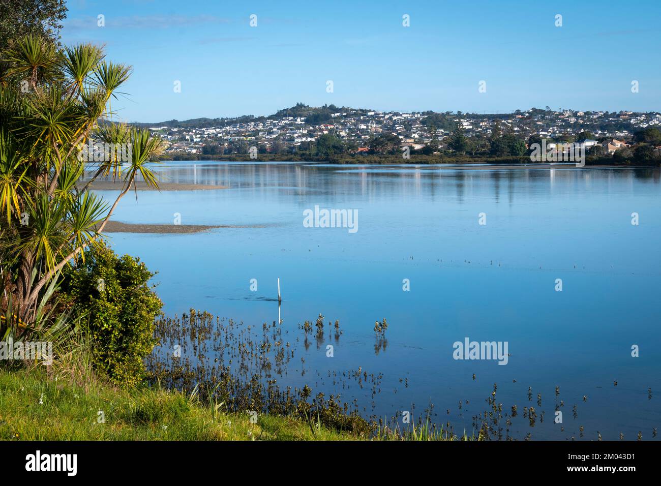 Orewa estuary hi-res stock photography and images - Alamy