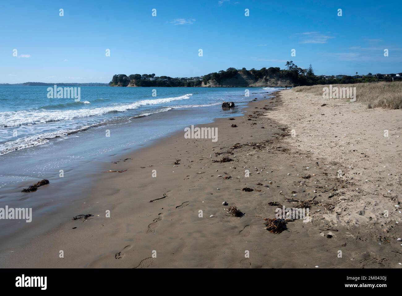 Orewa auckland hi-res stock photography and images - Alamy