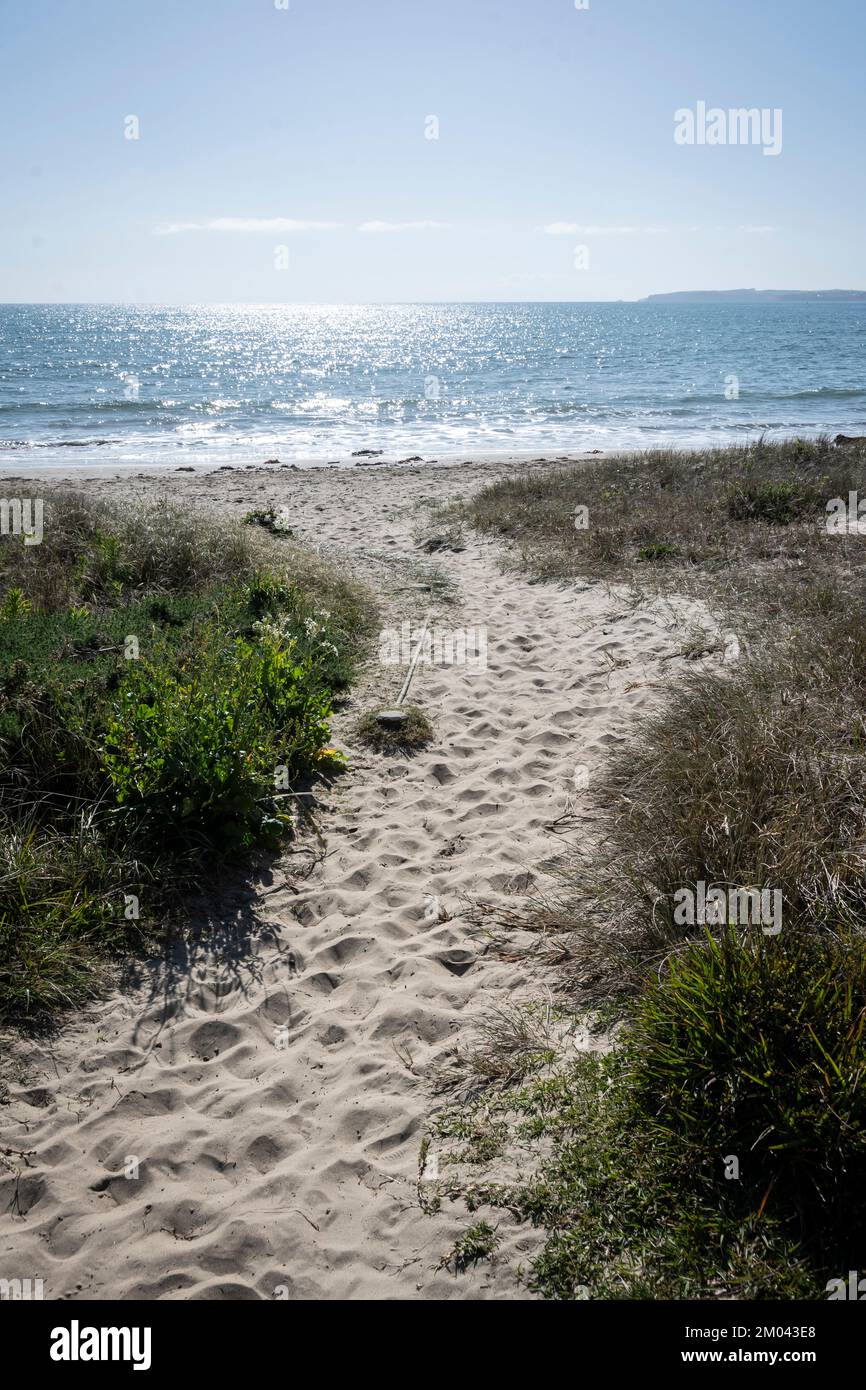 Orewa auckland hi-res stock photography and images - Alamy
