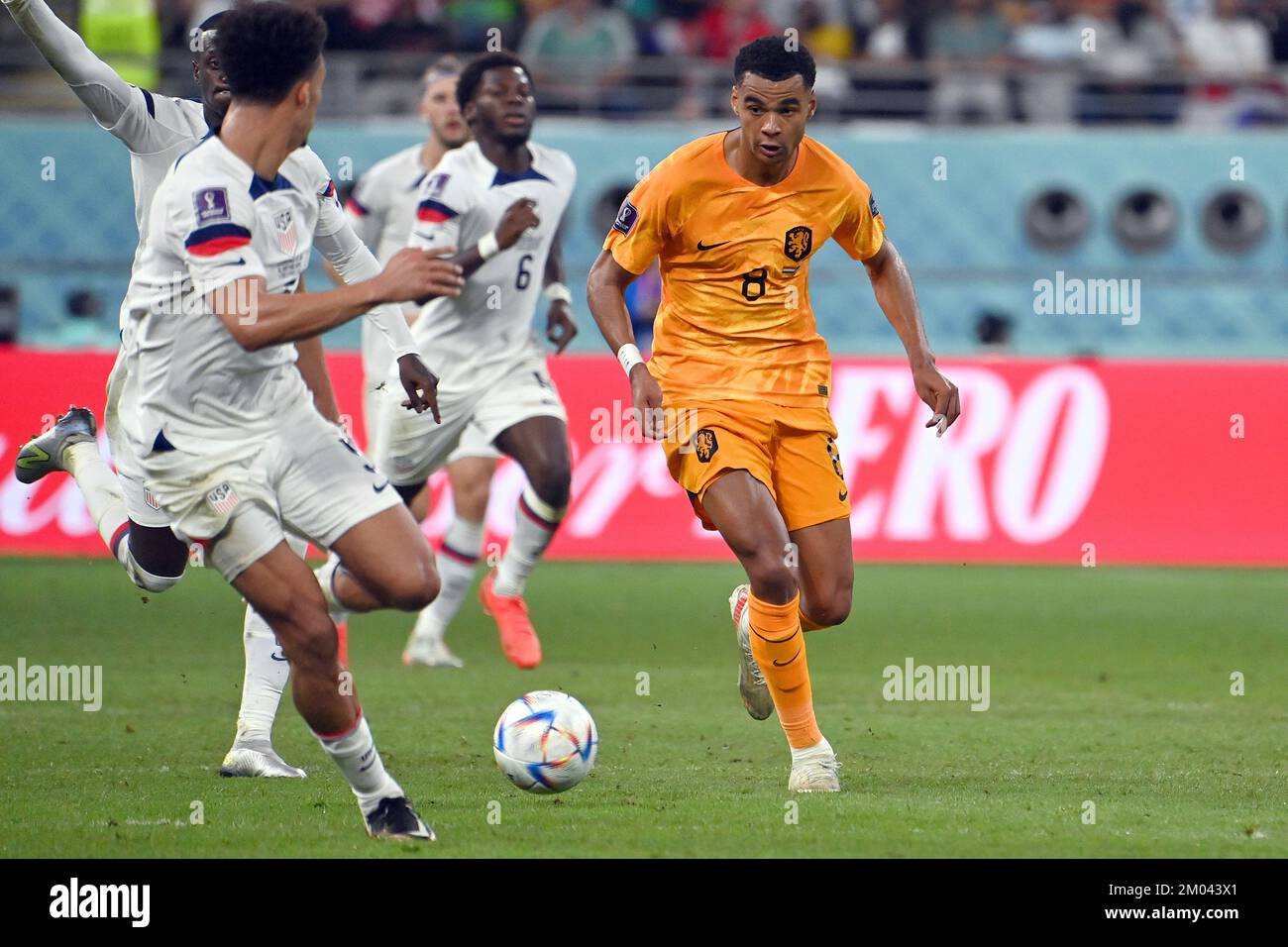 Doha, Katar. 03rd Dec, 2022. GAKPO Cody (NED), action, duels versus ...