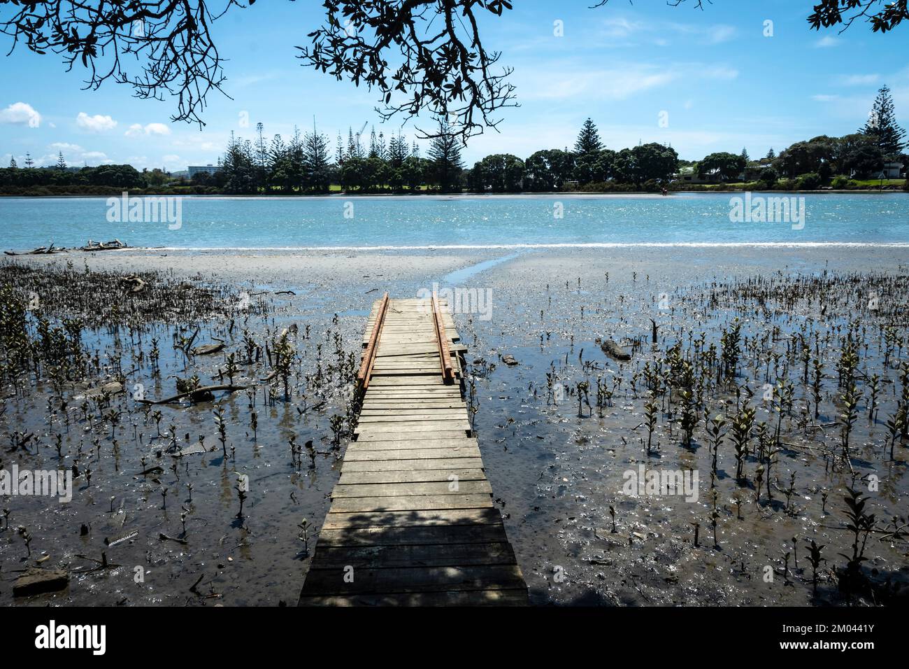 Jetty auckland hi-res stock photography and images - Alamy