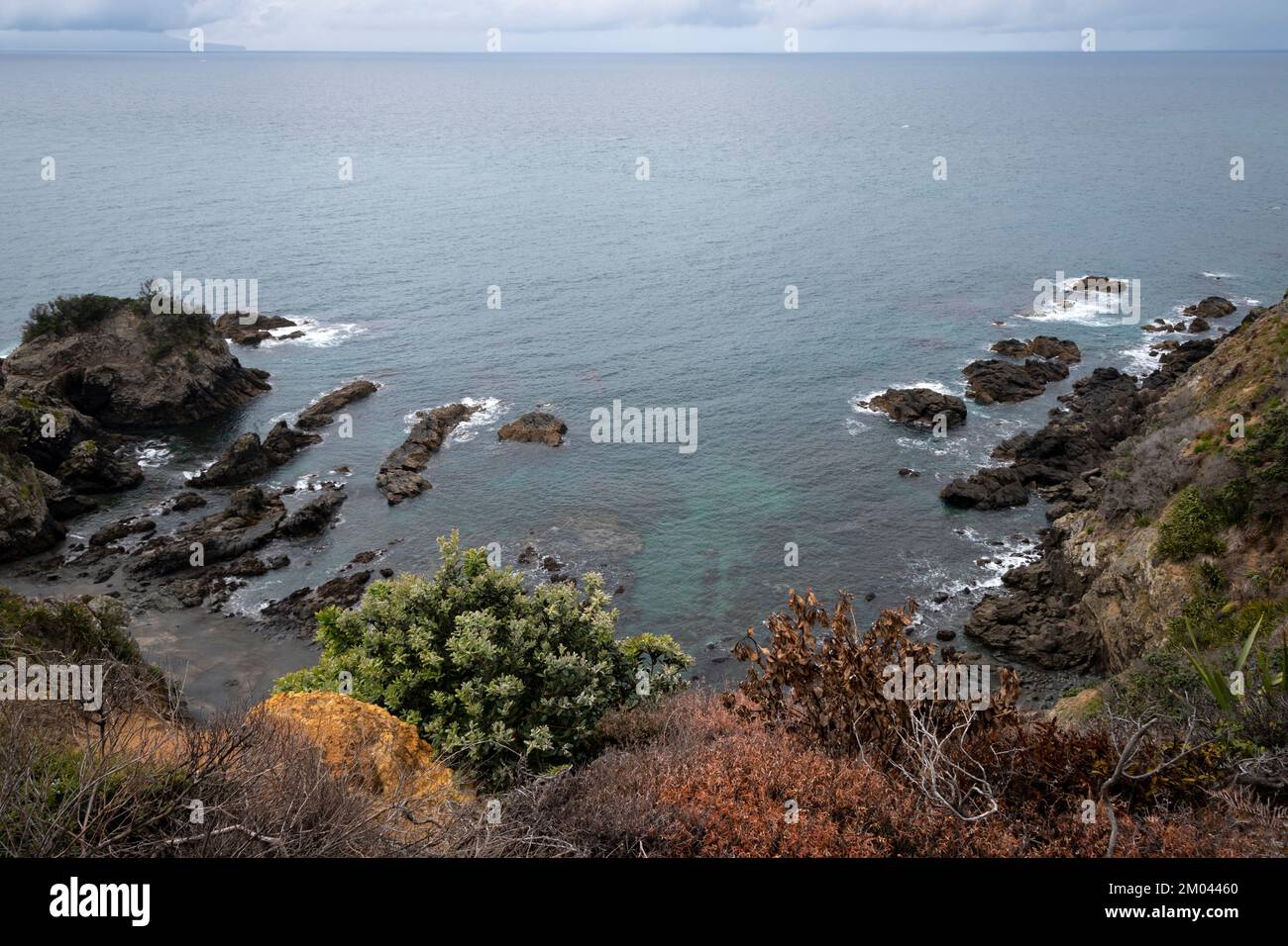 Cliffs and rocky coastline near Elephant Point, Tawharanui Regional ...