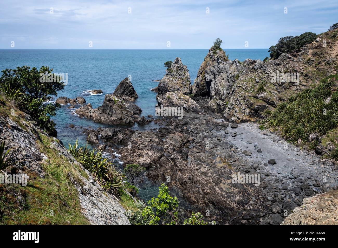 Cliffs and rocky coastline near Elephant Point, Tawharanui Regional ...