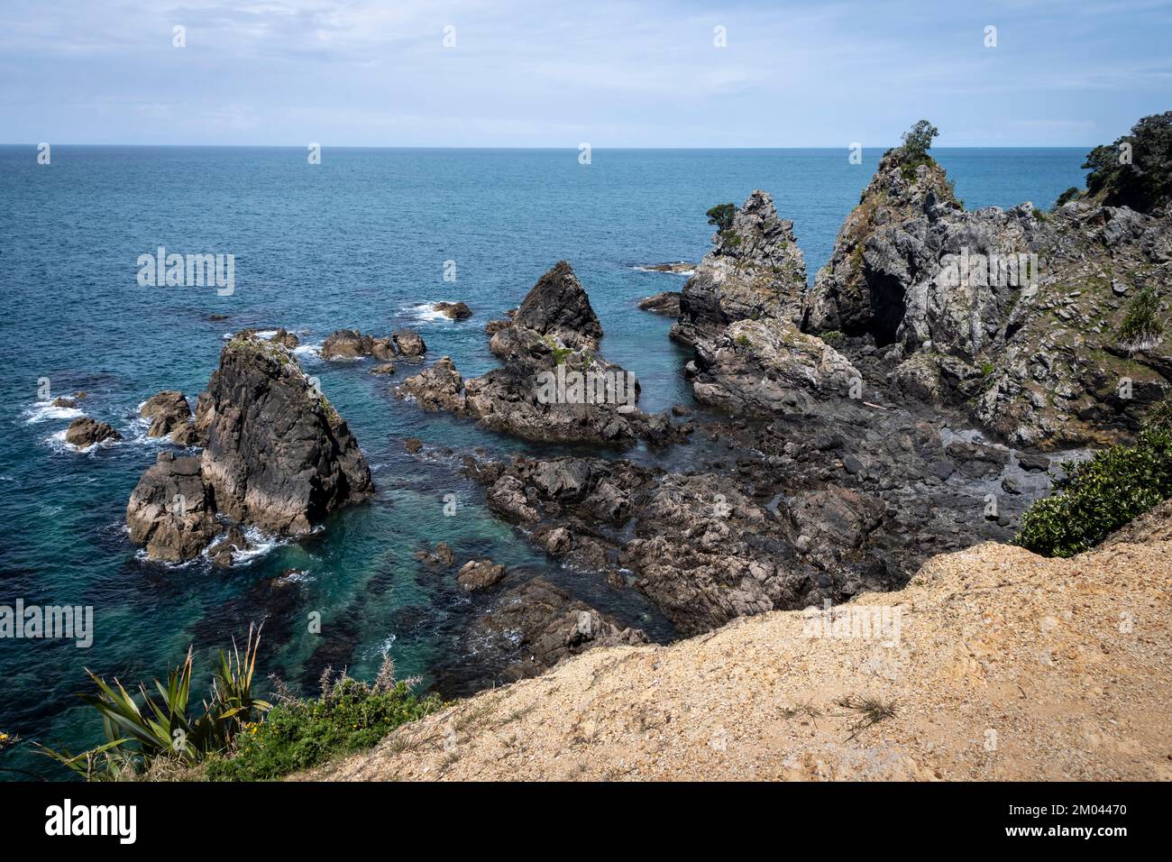 Cliffs and rocky coastline near Elephant Point, Tawharanui Regional ...