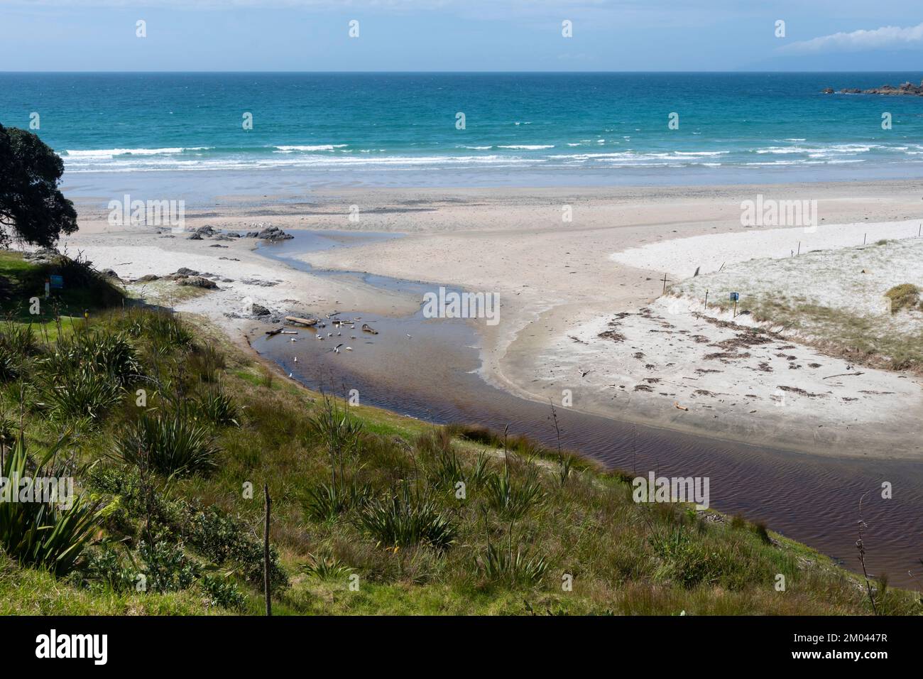 Anchor Bay, Tawharanui Regional Park, Tawharanui Peninsular, Auckland ...
