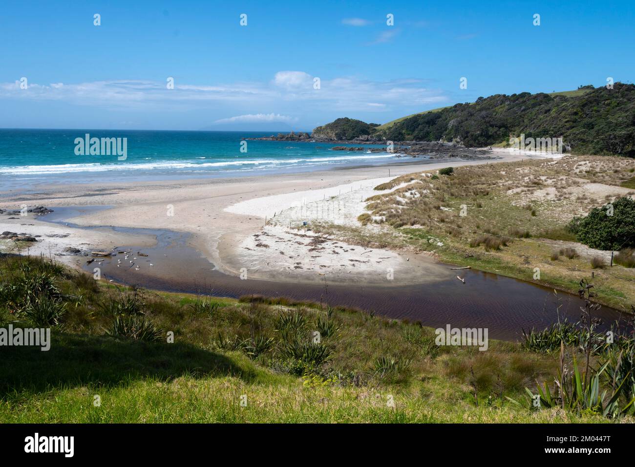 Anchor Bay, Tawharanui Regional Park, Tawharanui Peninsular, Auckland ...
