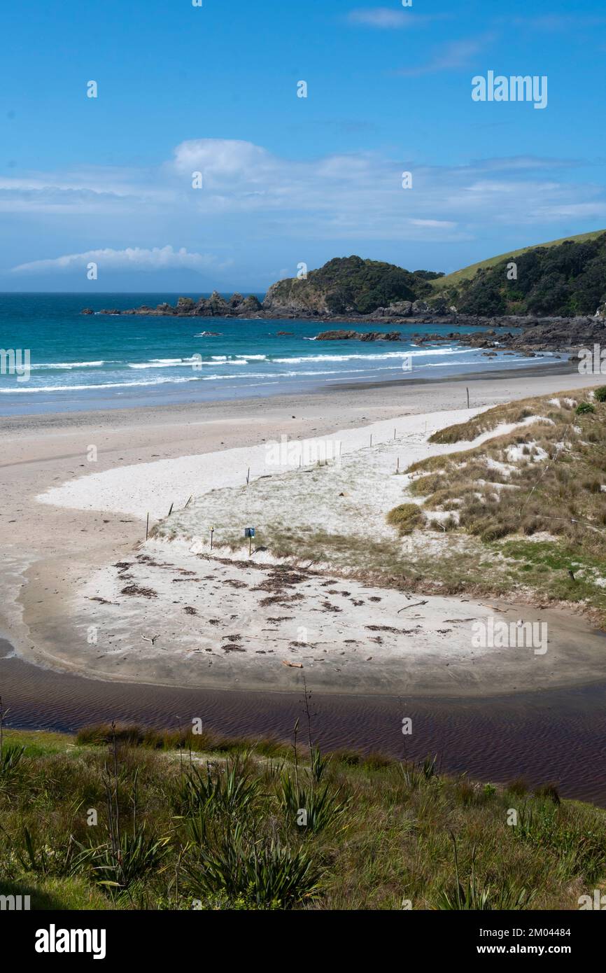 Anchor Bay, Tawharanui Regional Park, Tawharanui Peninsular, Auckland ...