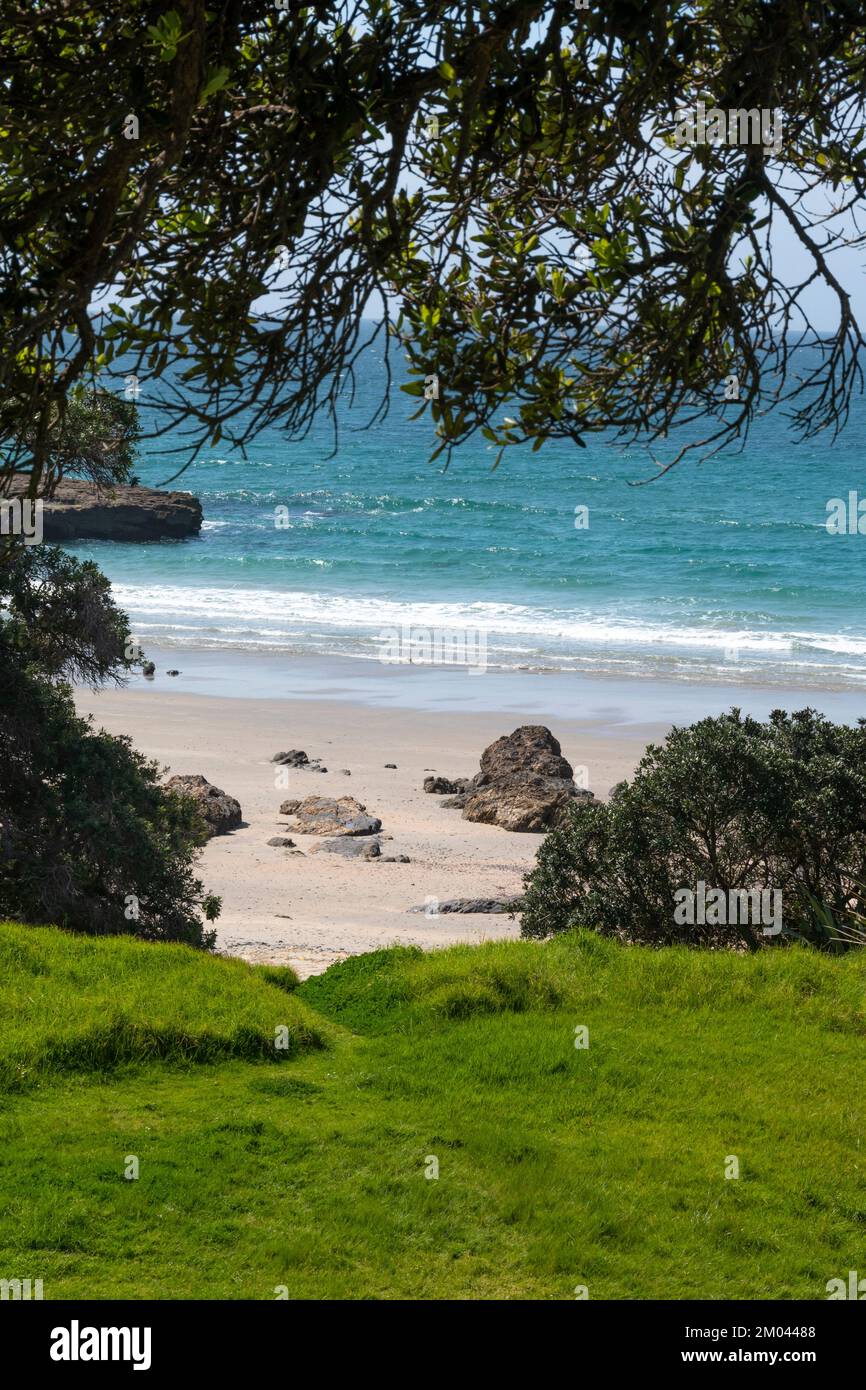 Anchor Bay, Tawharanui Regional Park, Tawharanui Peninsular, Auckland ...