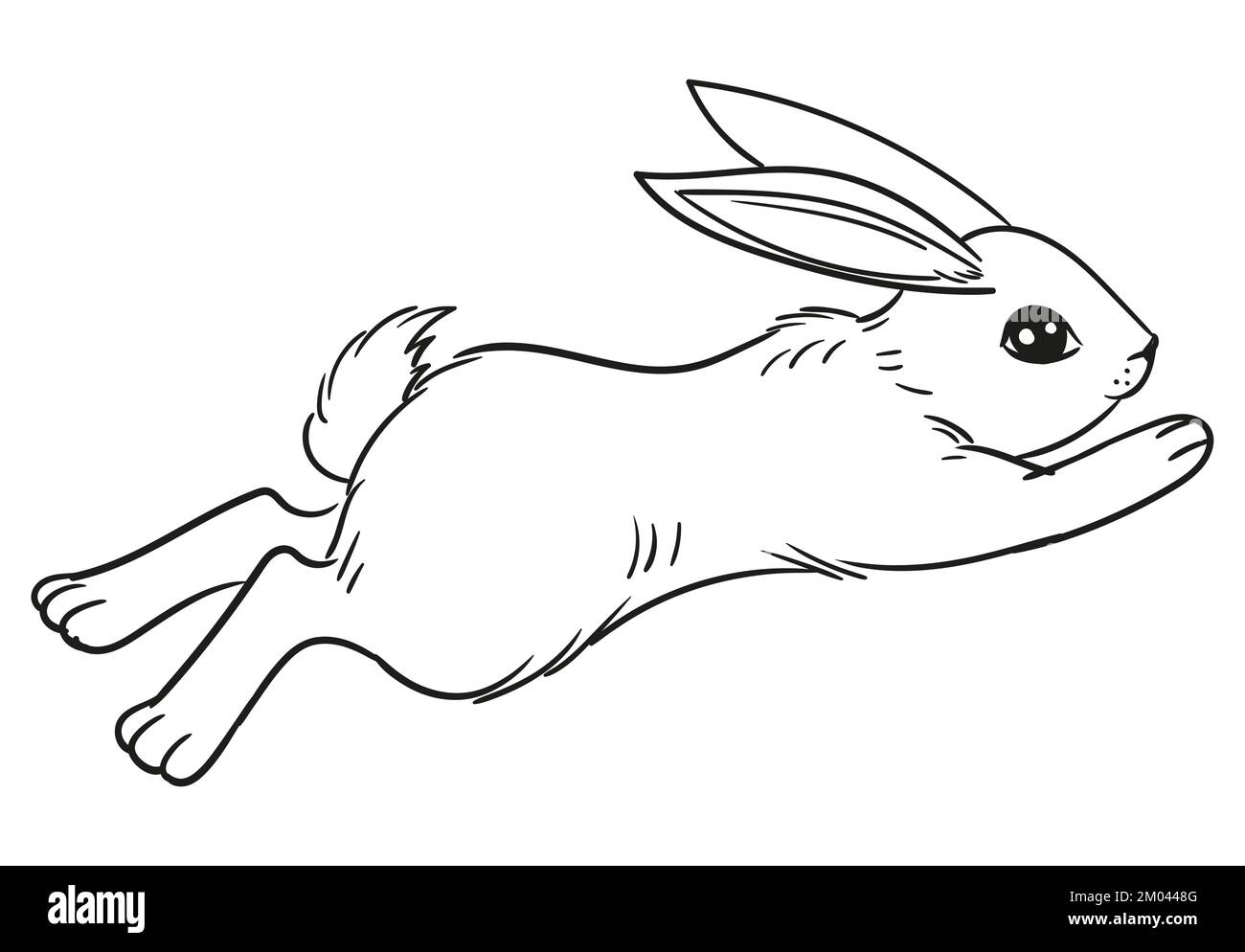 Various cute bunnies, spring, easter bunny in sketch style. Rabbit sits ...