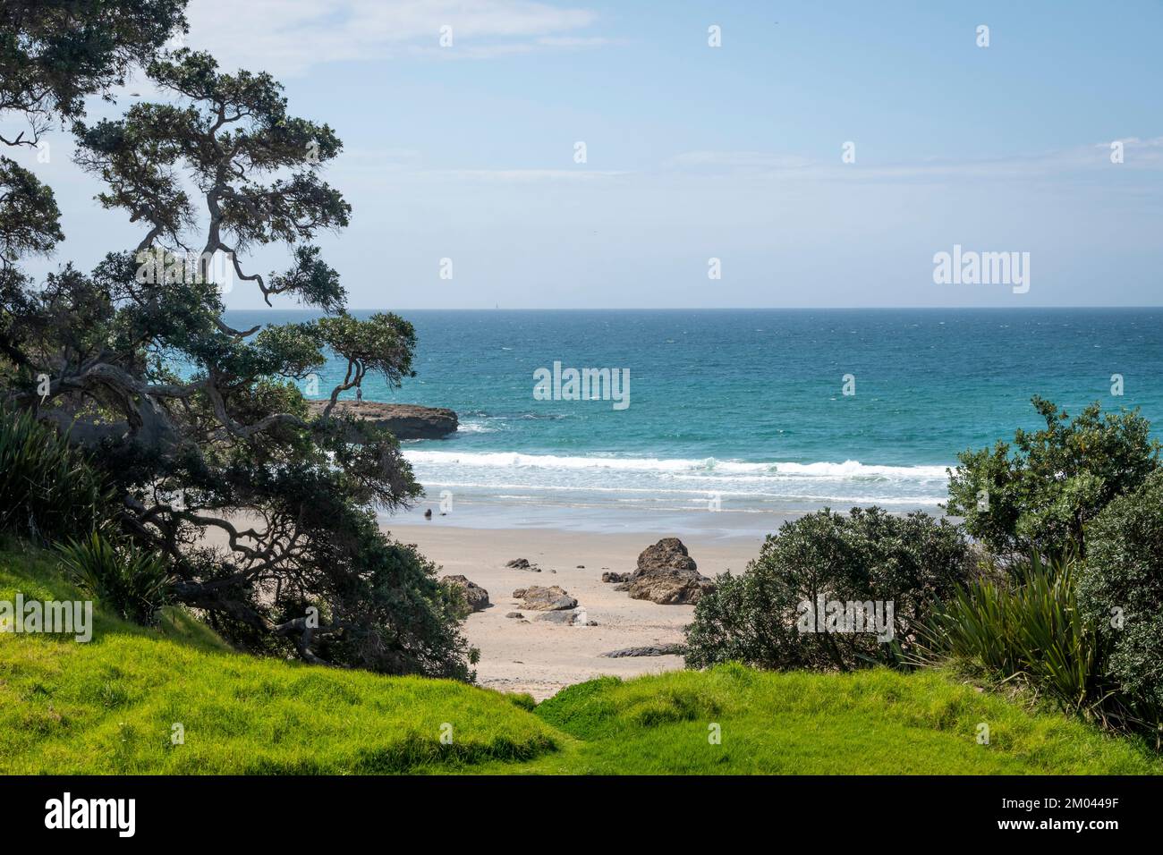 Anchor Bay, Tawharanui Regional Park, Tawharanui Peninsular, Auckland ...