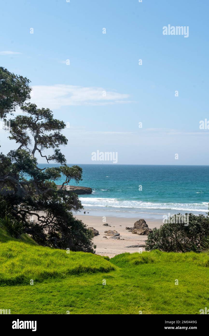 Anchor Bay, Tawharanui Regional Park, Tawharanui Peninsular, Auckland ...