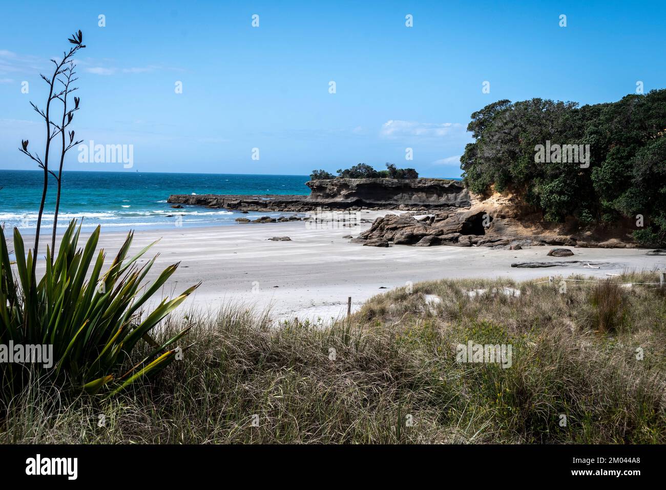 Anchor Bay, Tawharanui Regional Park, Tawharanui Peninsular, Auckland ...