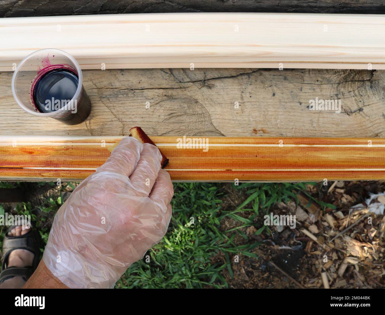 staining wooden fillets with a foam sponge and a burgundy solution of ...