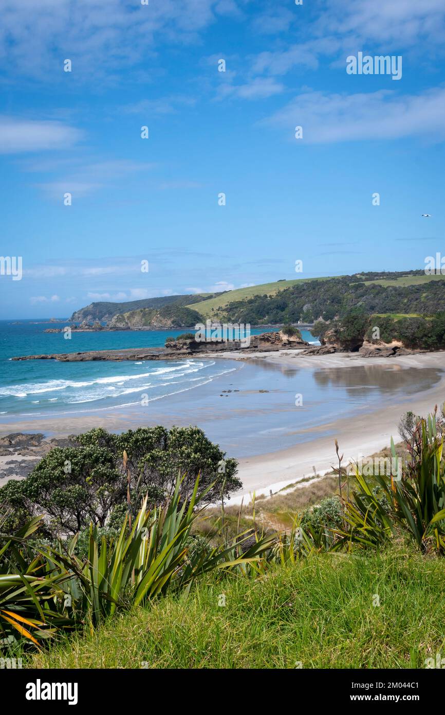 Anchor Bay, Tawharanui Regional Park, Tawharanui Peninsular, Auckland ...