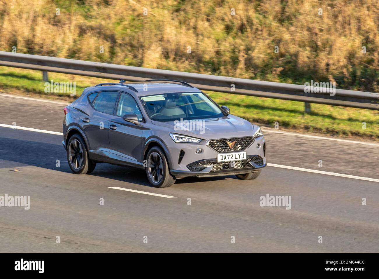 Cupra Formentor Software Update 2022