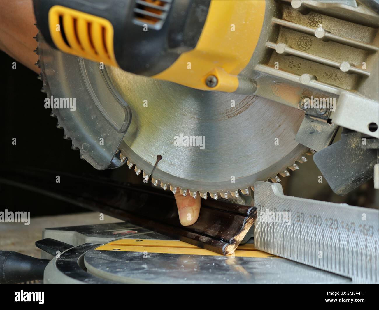 trying on a wooden plank on a miter saw ruler close-up, adjusting the ...