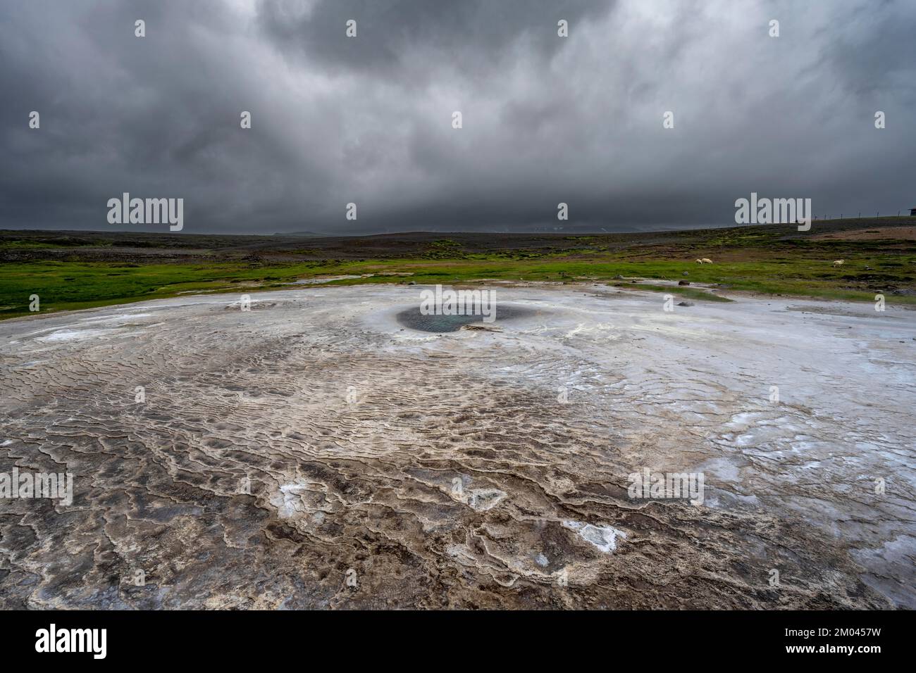 Hot spring, Hveravellir geothermal area, Icelandic Highlands, Suðurland ...
