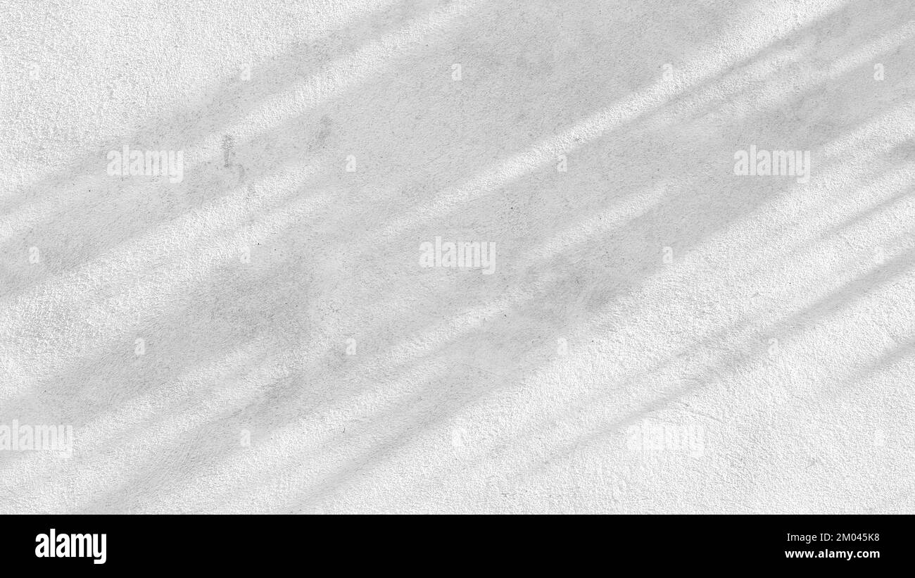 Black and White abstract background texture of shadows leaf on a ...