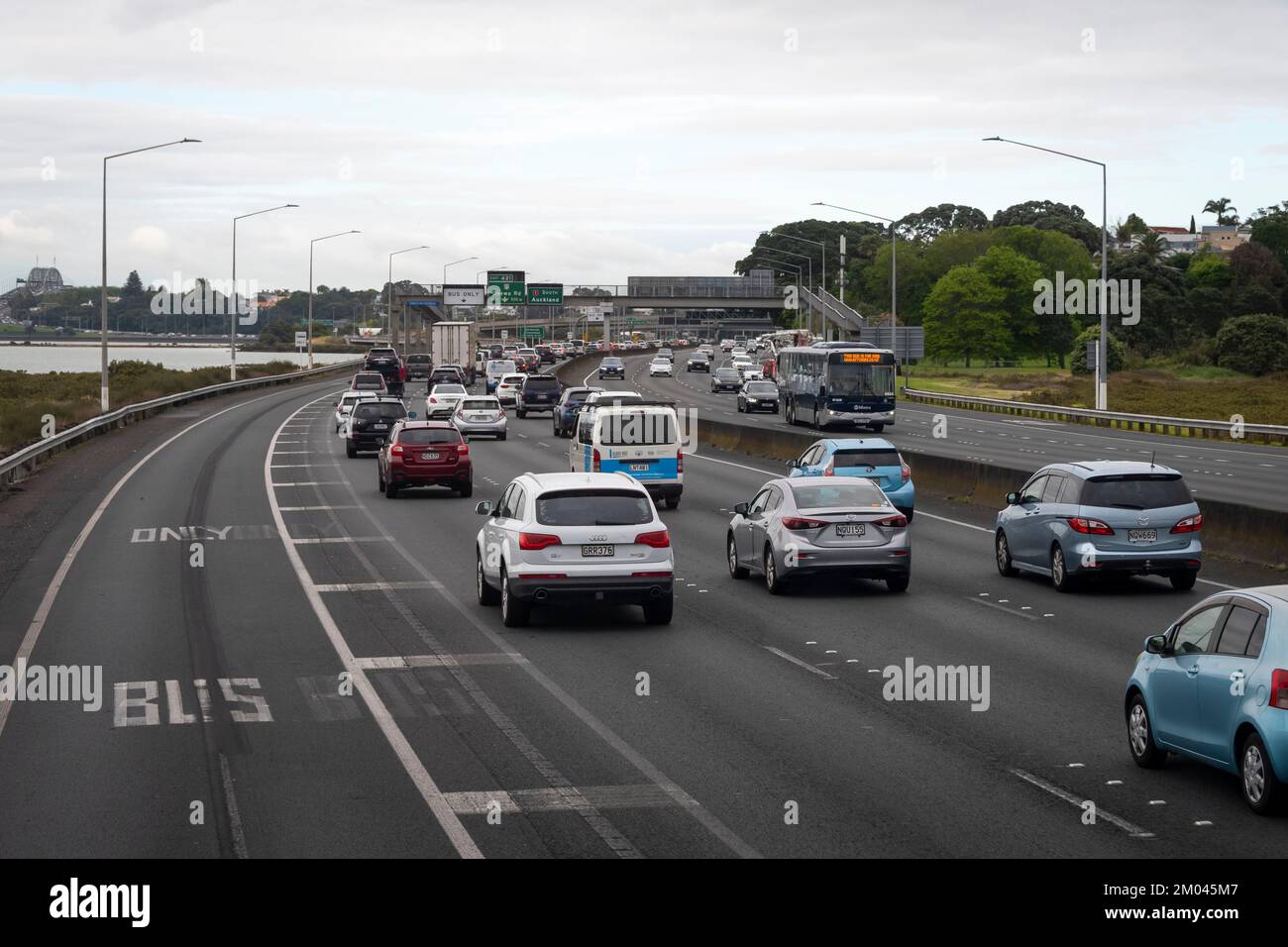 Traffic on motorway with clear bus lane, North Shore, Auckland, North ...