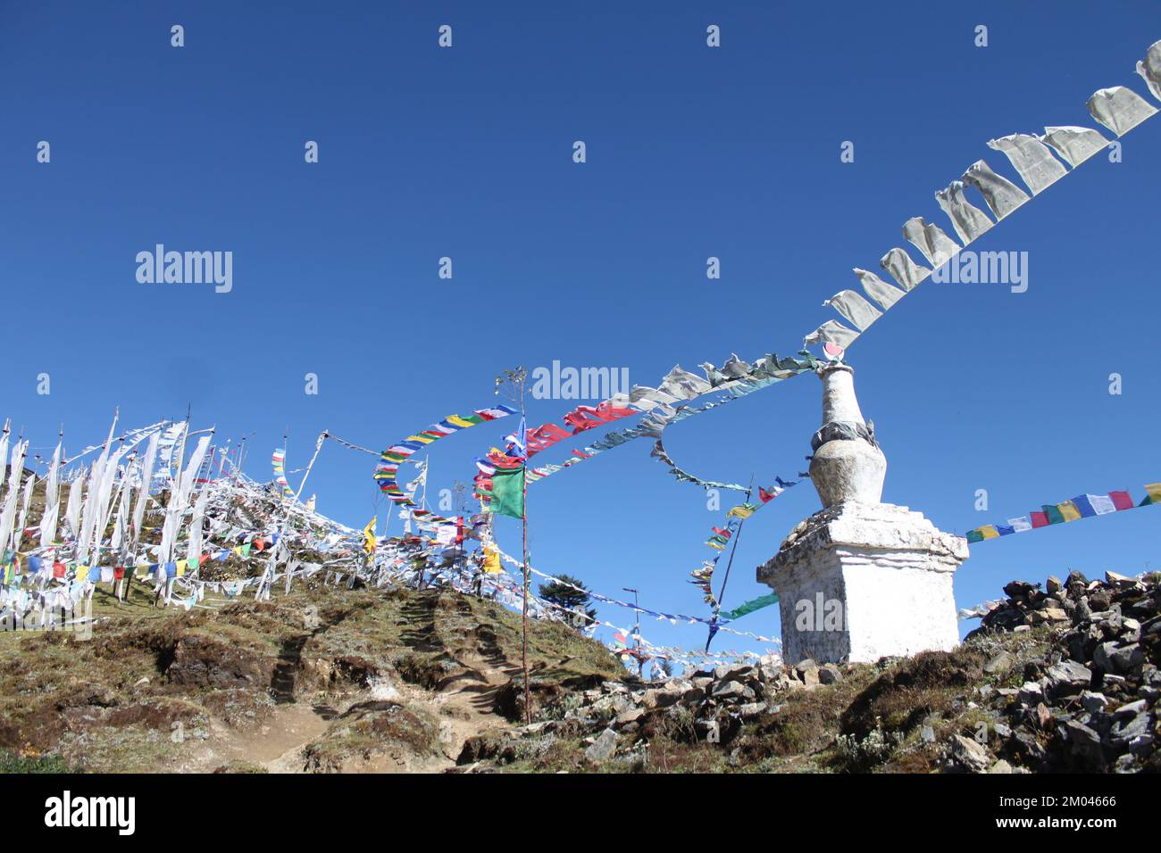 Tibetan Buddhist prayer flags in Bhutan Stock Photo - Alamy