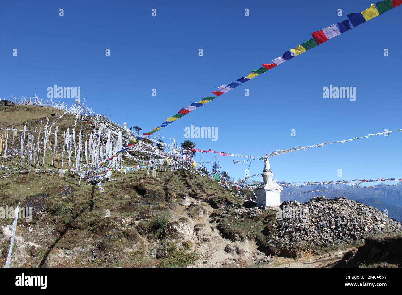Tibetan Buddhist prayer flags in Bhutan Stock Photo - Alamy