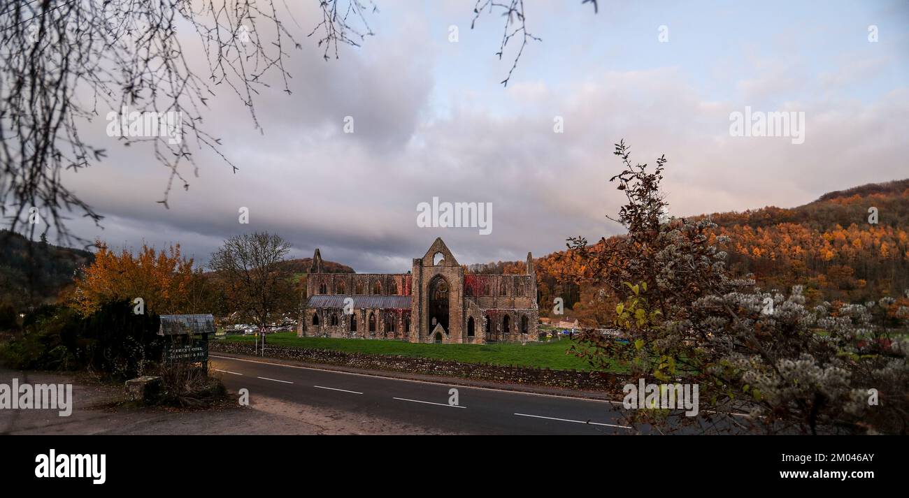 Patron roger bigod hi-res stock photography and images - Alamy