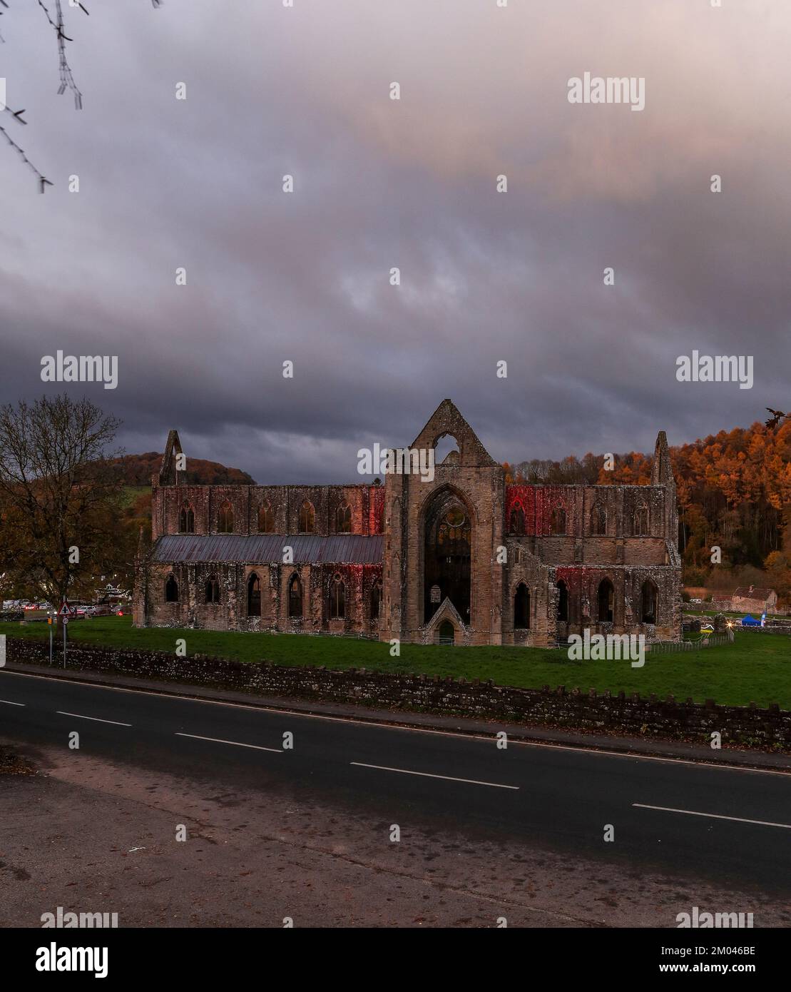 Patron roger bigod hi-res stock photography and images - Alamy